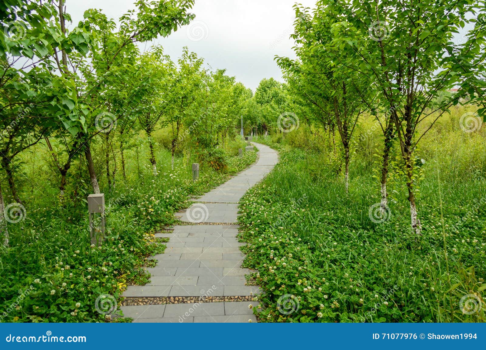 Garden path in park stock photo. Image of planting, grass - 71077976