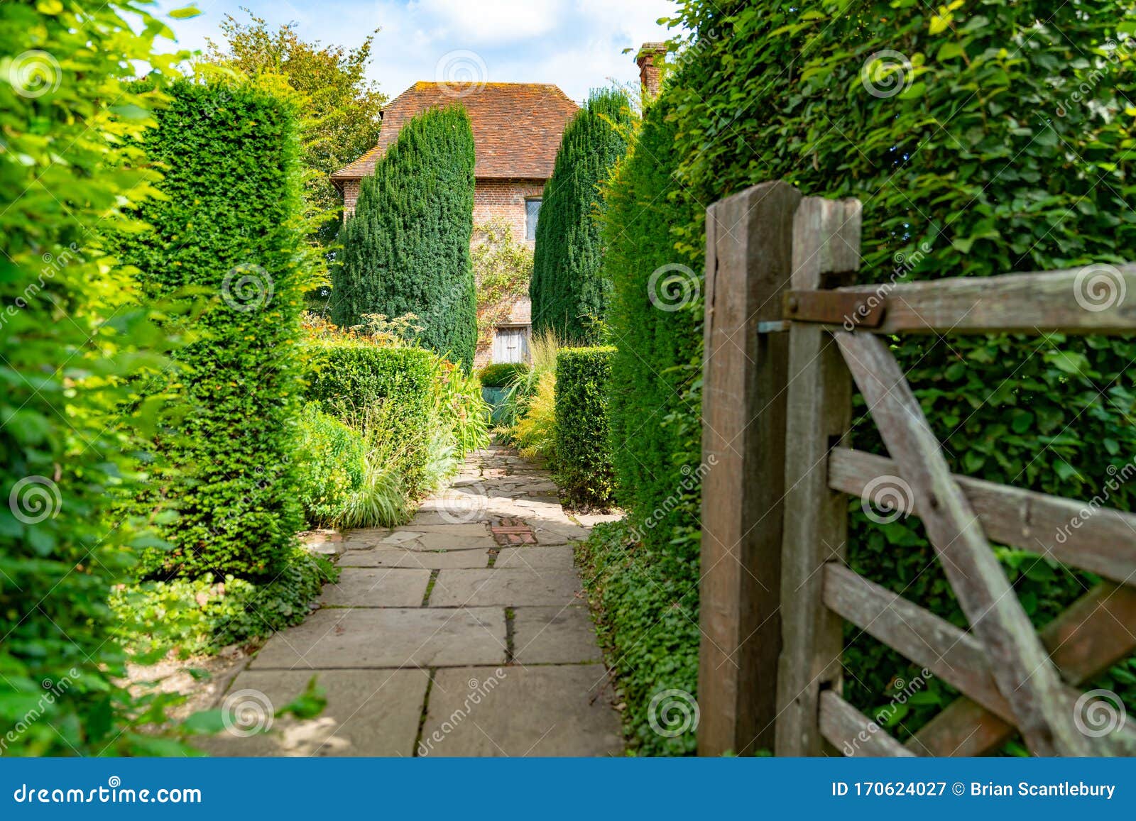 Garden Path Past Open Gate between Trees Stock Image - Image of green ...