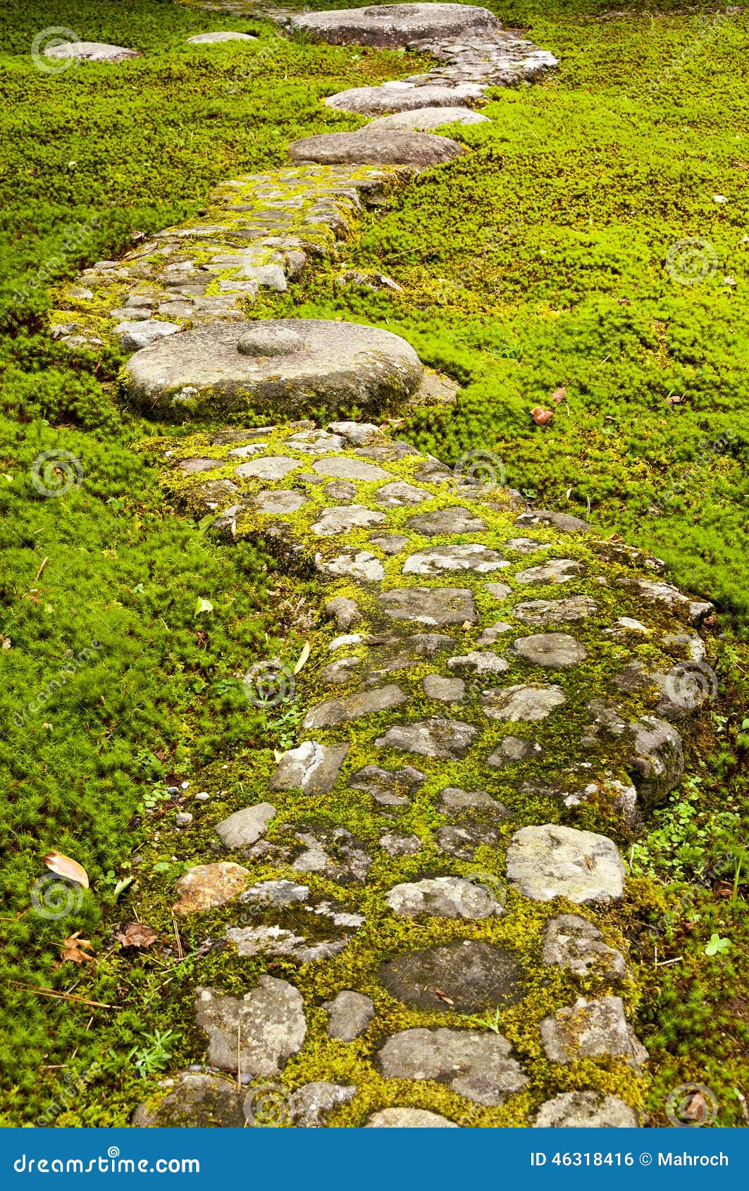 Garden Path Paved with Big Stones Stock Photo - Image of park, rock ...