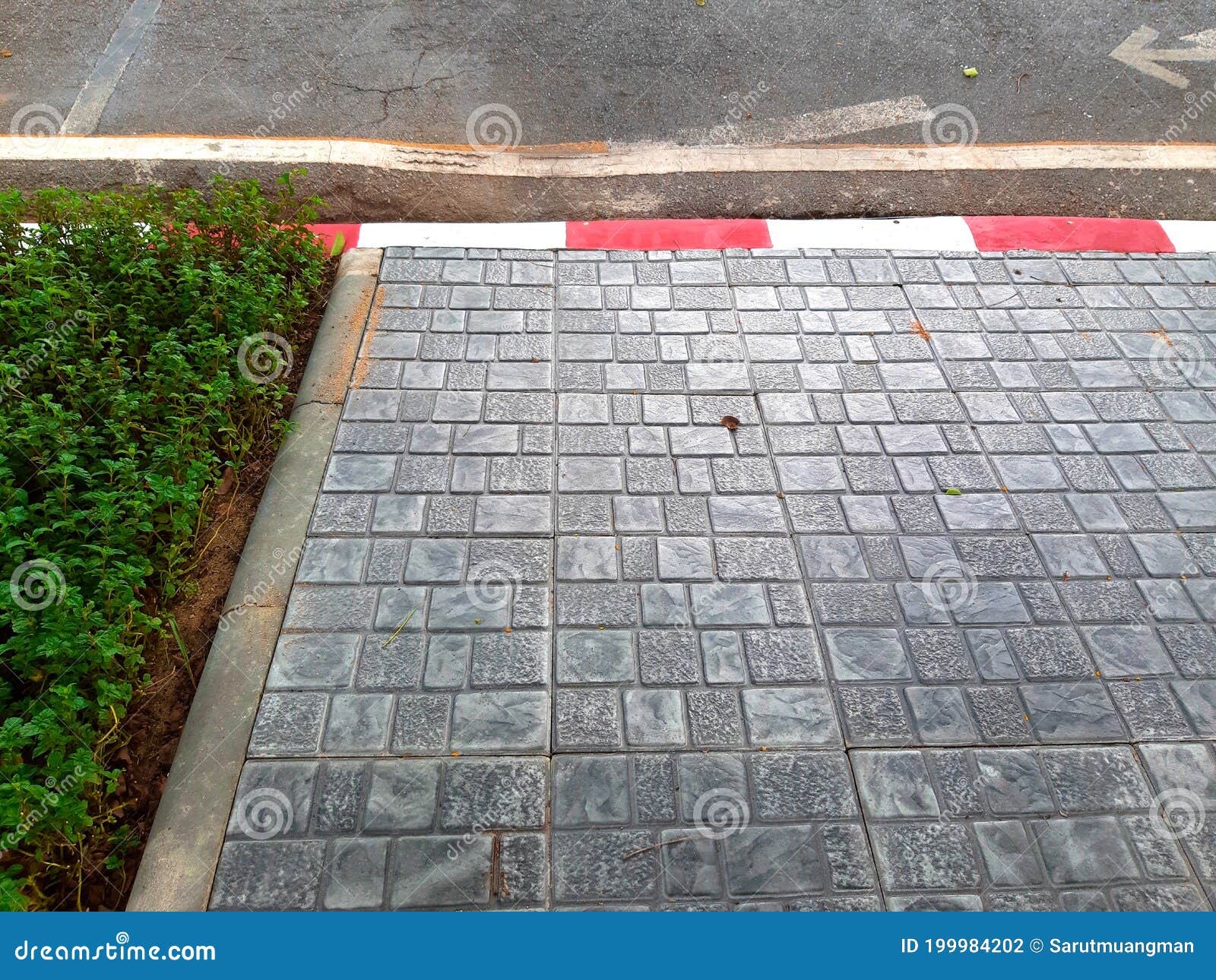 Walkways of Parks. Garden Path of Paving Slabs in the Garden Floor ...