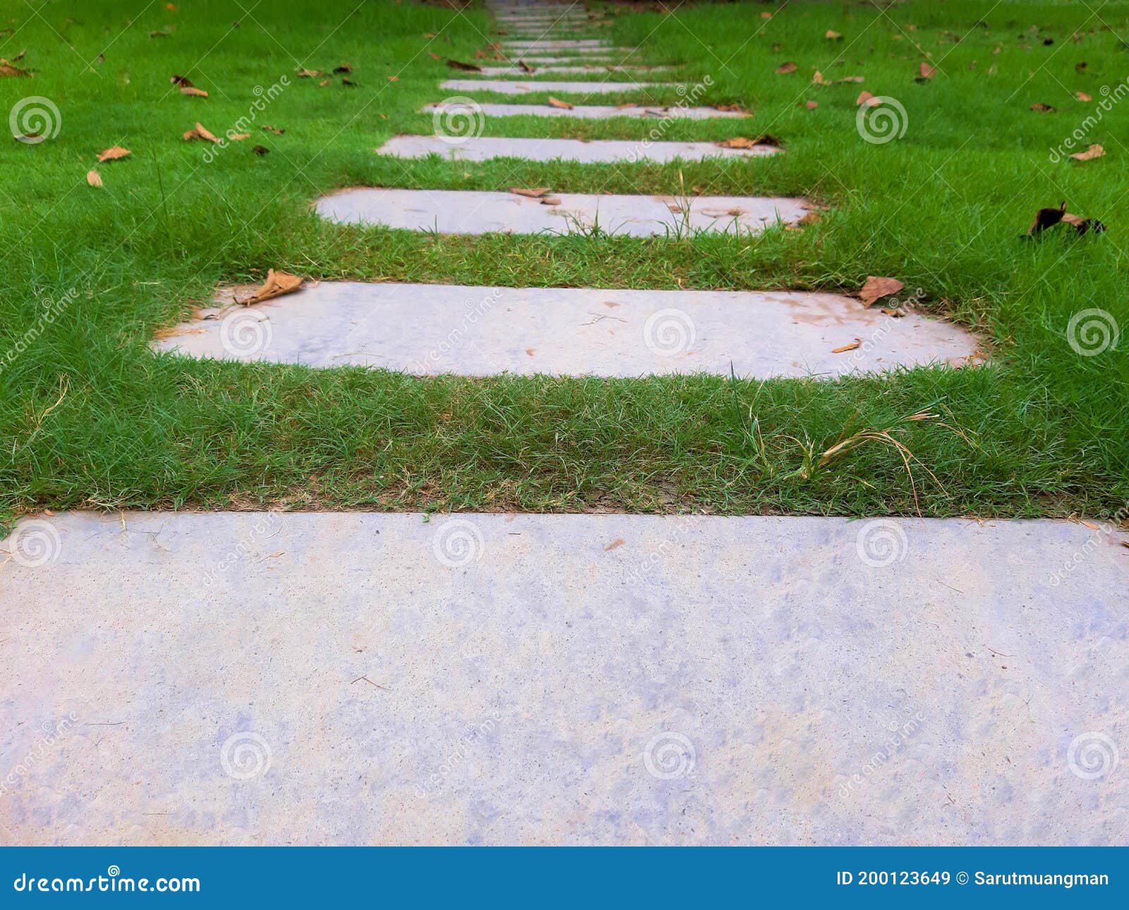 Garden Path of Paving Slabs in the Garden Floor Panels, Walkways of ...