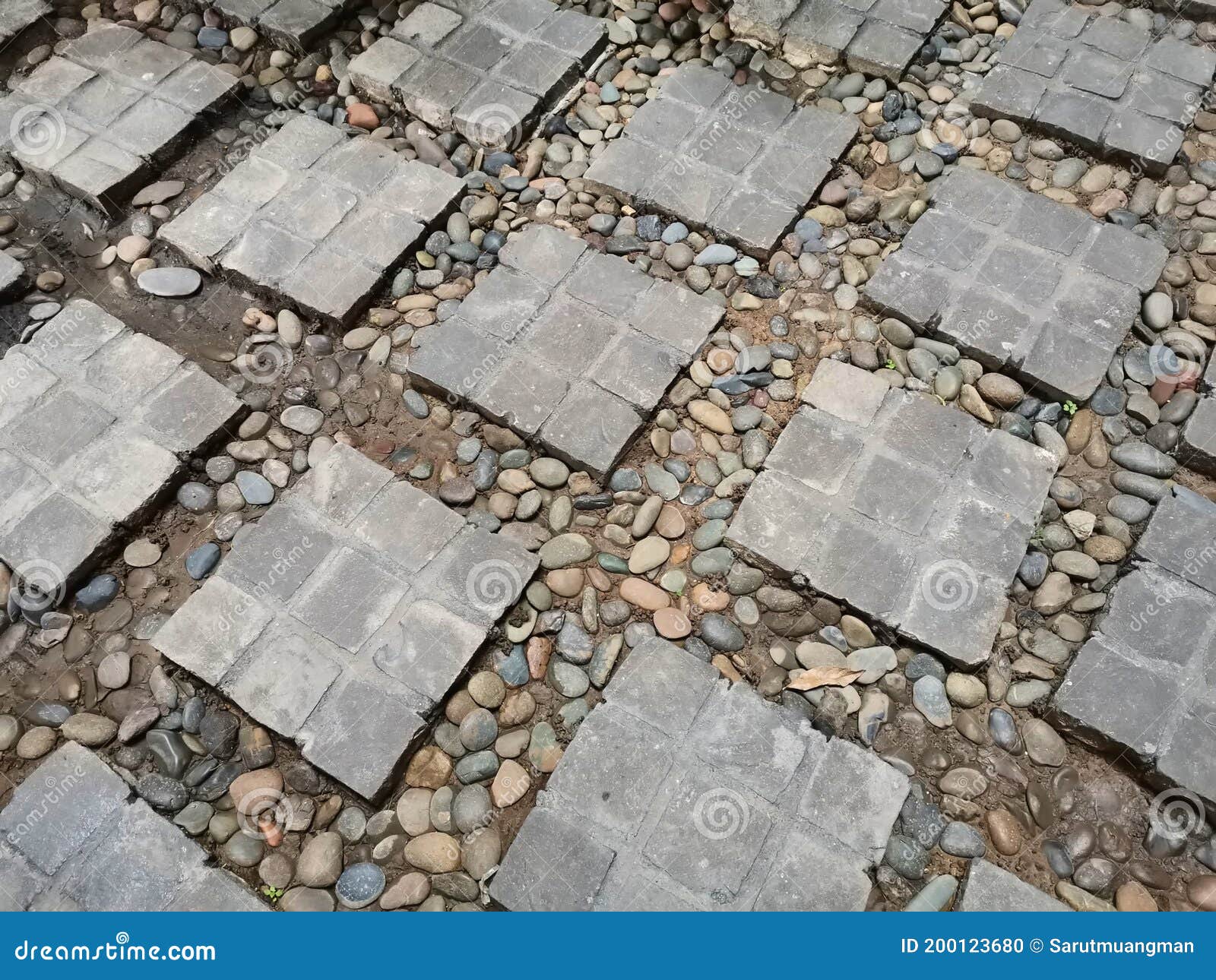 Garden Path of Paving Slabs in the Garden Floor Panels, Walkways of ...
