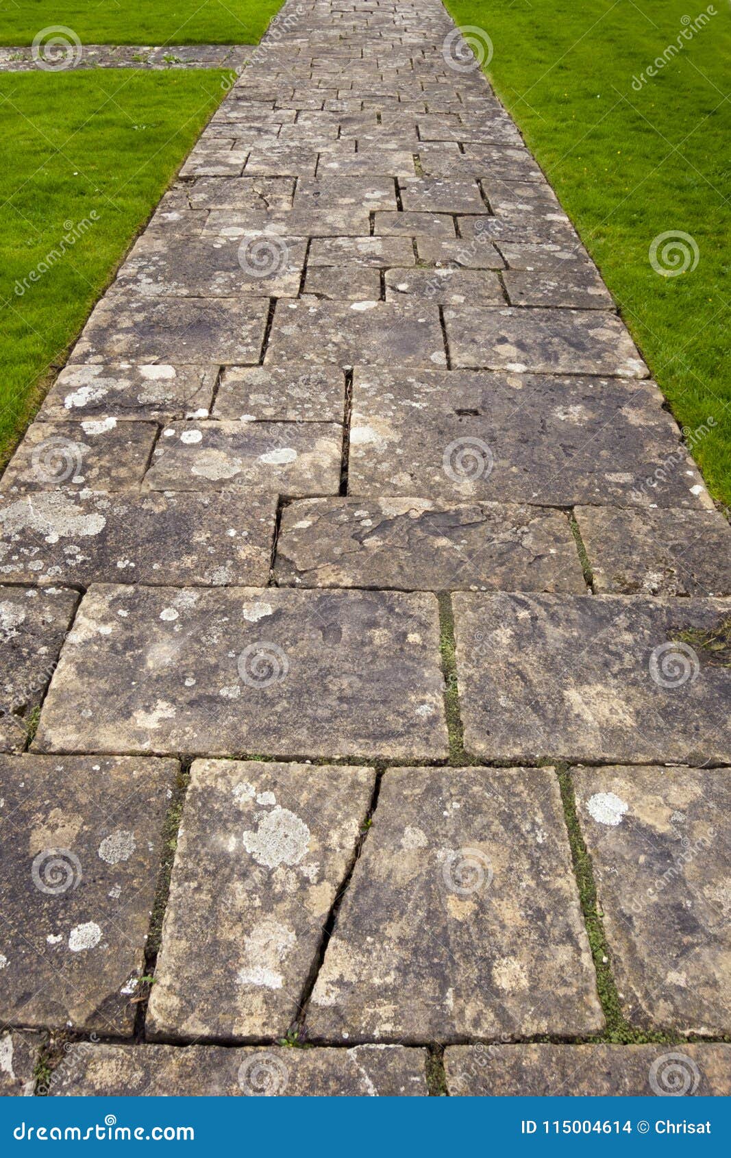 Garden path perspective stock photo. Image of stone - 115004614