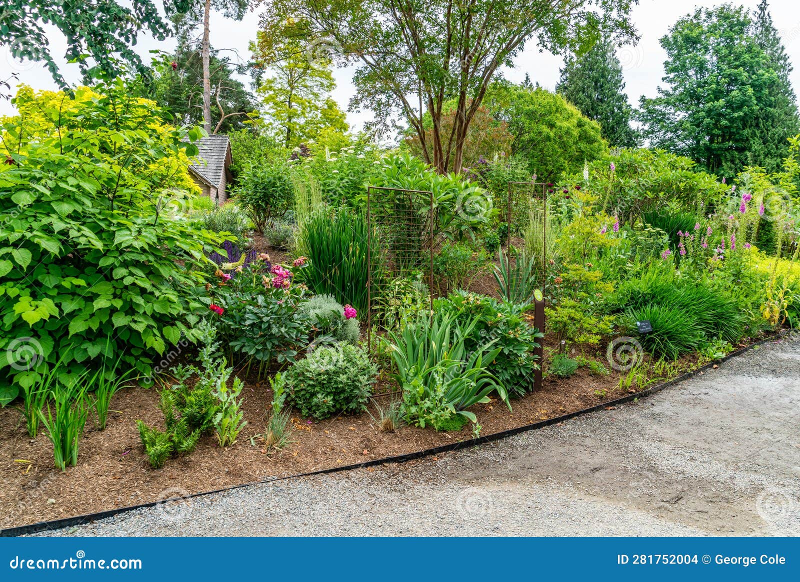 Garden Path Plants and Flowers 4 Stock Photo - Image of blossoms, state ...