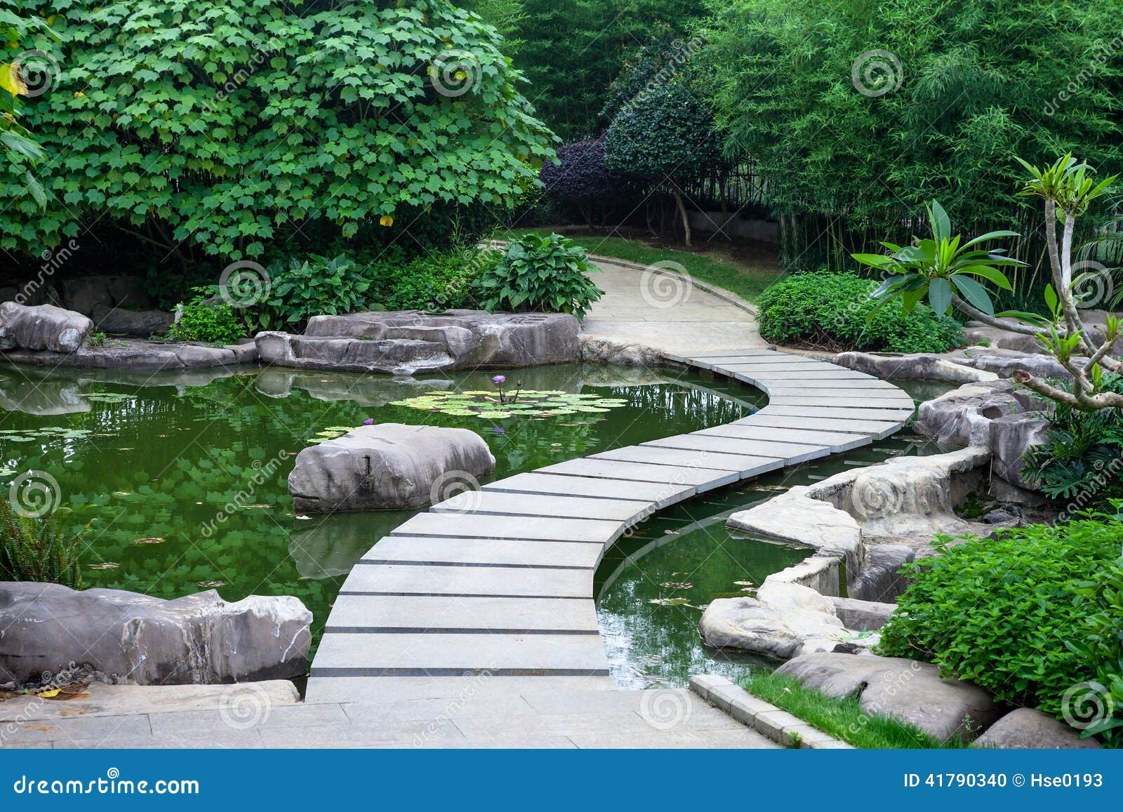 Garden path by pond stock photo. Image of nature, walk - 41790340