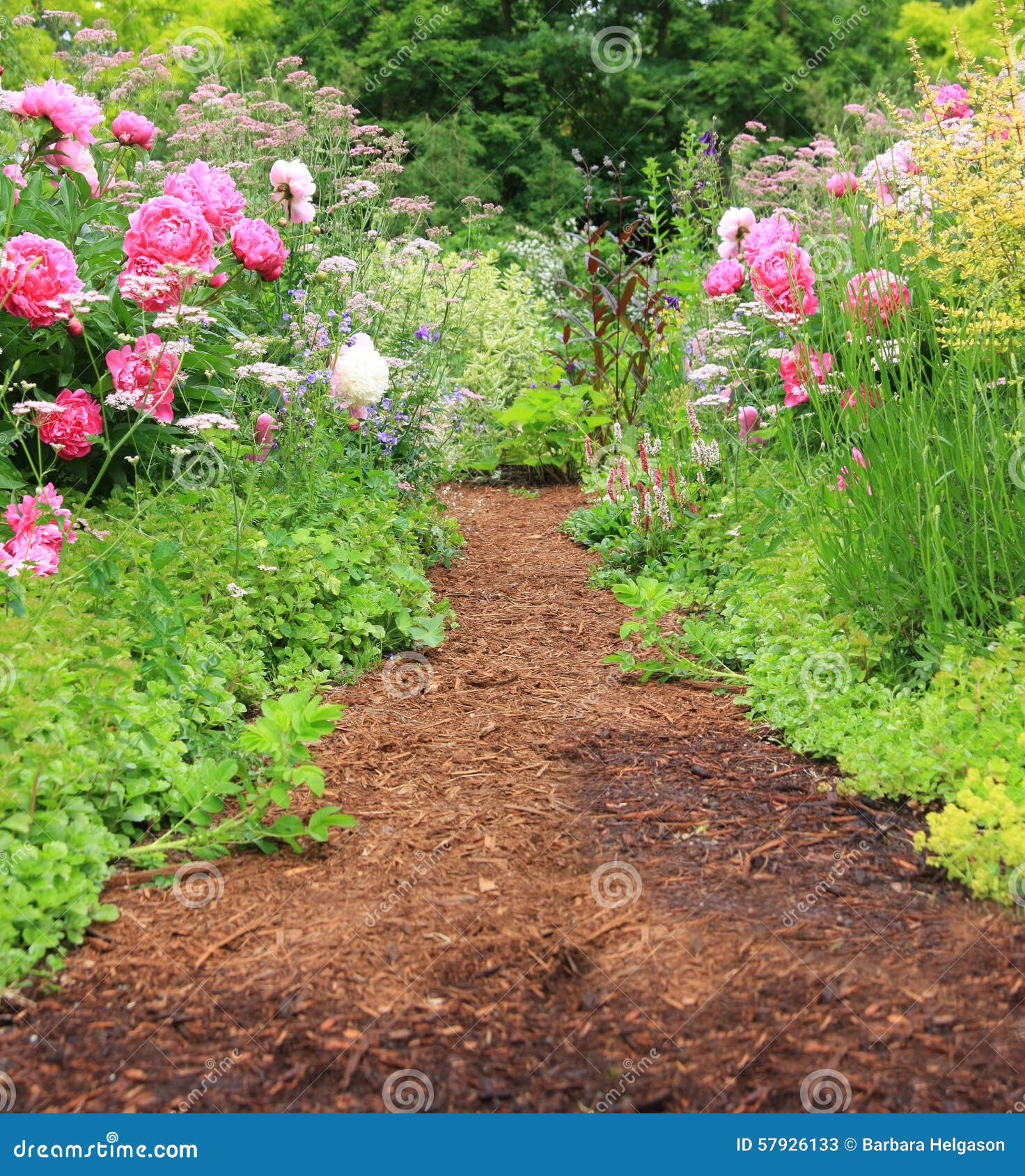 Garden path stock image. Image of peace, green, pretty - 57926133