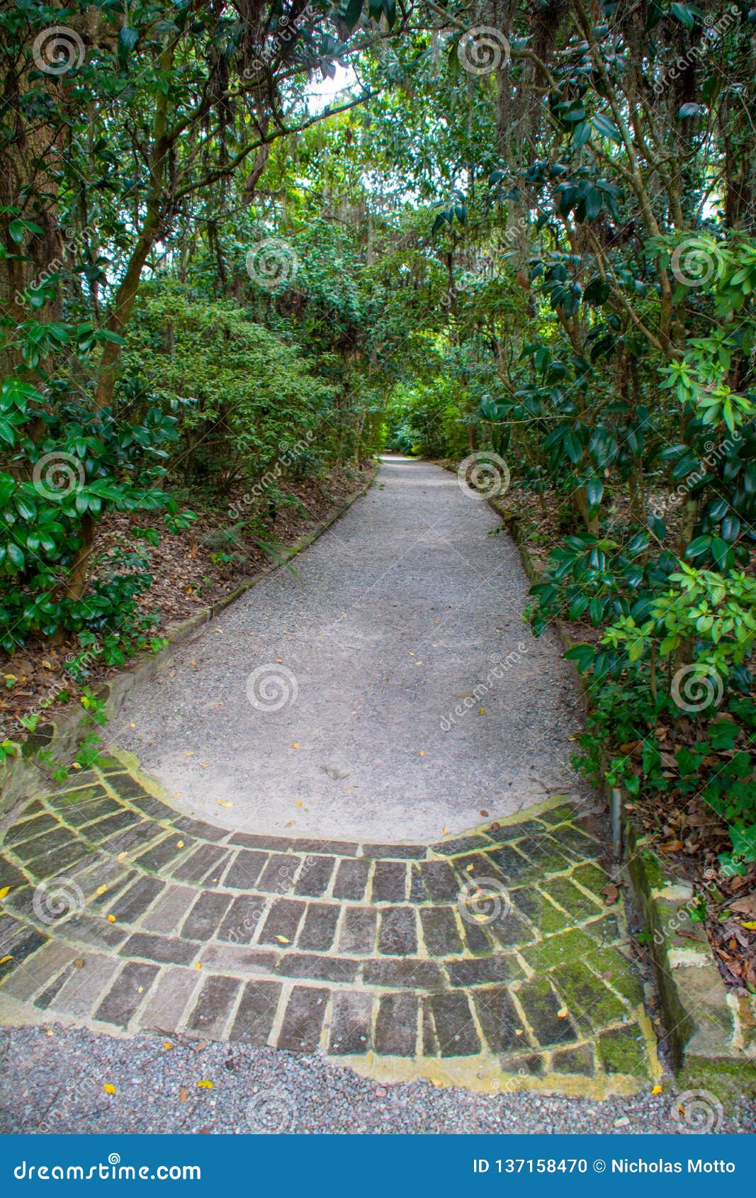 Secluded Garden Path stock photo. Image of secluded - 137158470