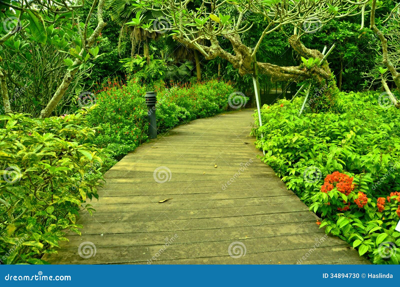 Garden Path, Singapore Botanic Gardens Stock Photo - Image of botanical ... Garden Path, Singapore Botanic Gardens Stock Photo - Image of botanical ...