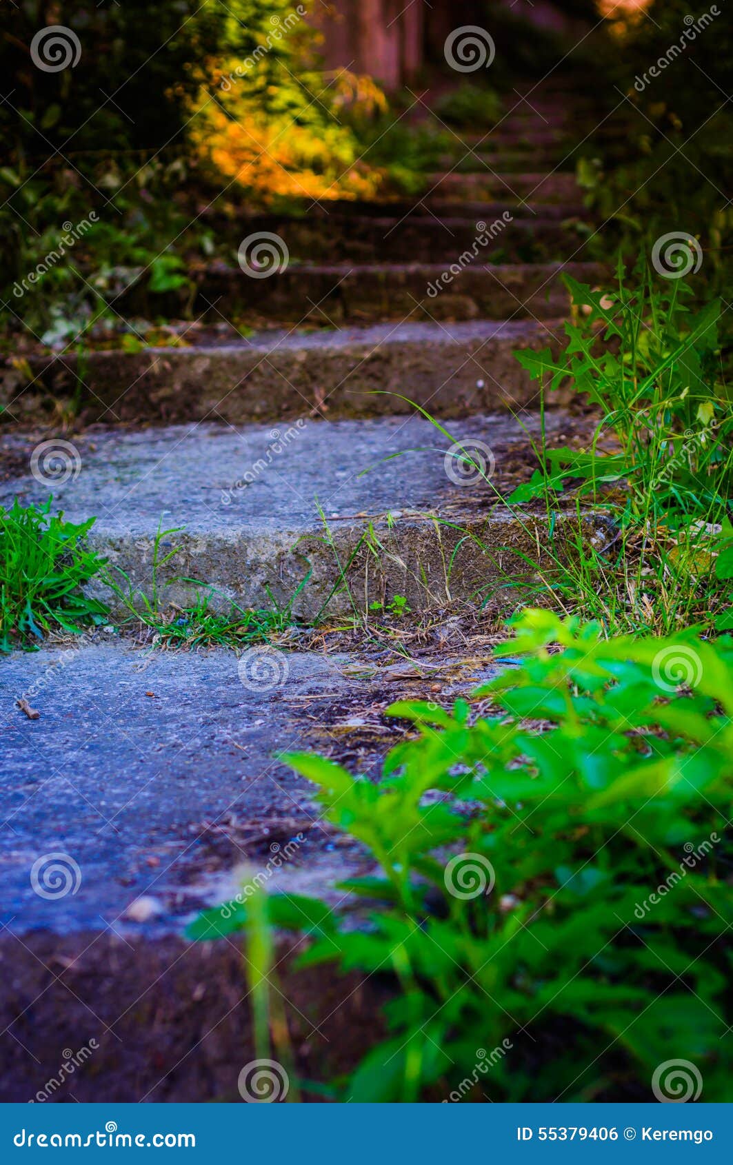 Garden Path Steps Close Up stock photo. Image of surroundings - 55379406