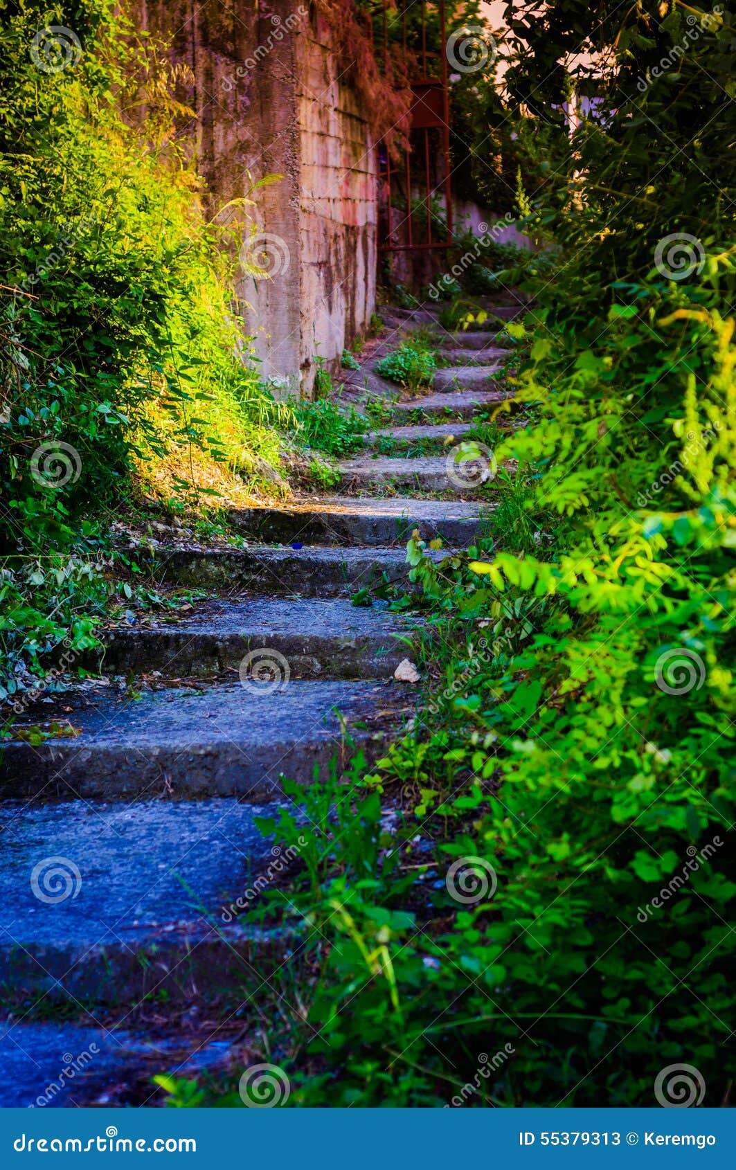 Garden Path Steps stock image. Image of beautiful, park - 55379313