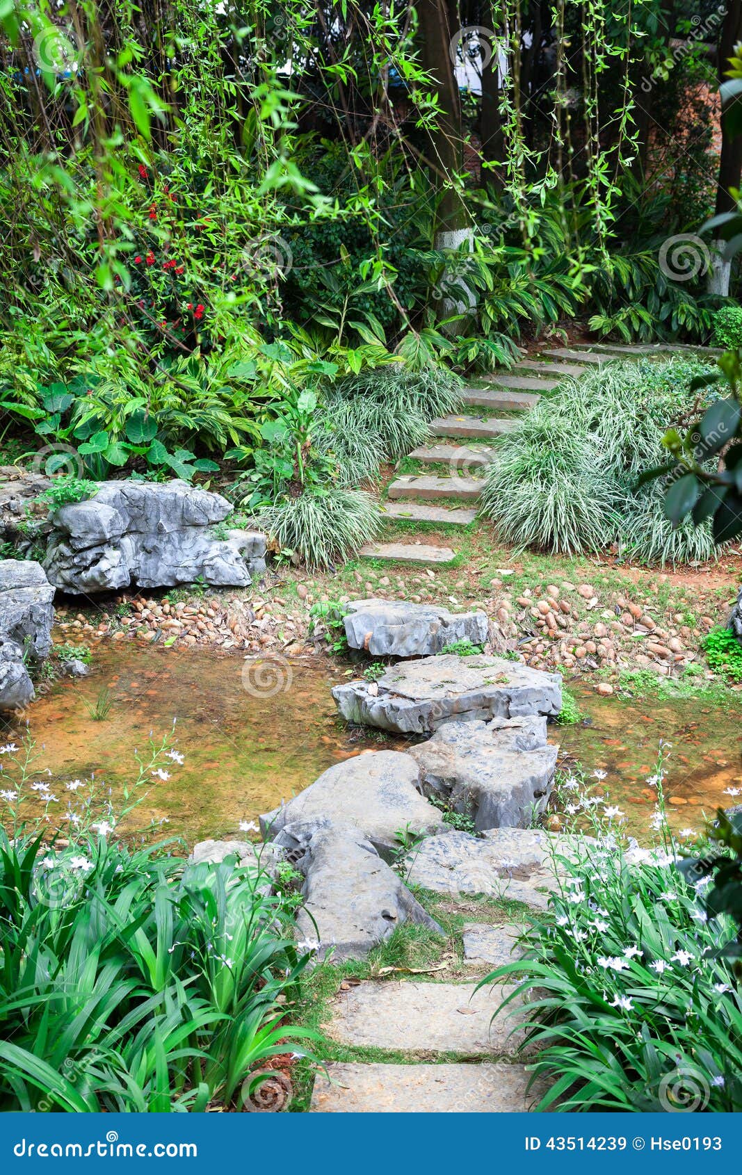 Garden path stock image. Image of path, outdoors, flowers - 43514239