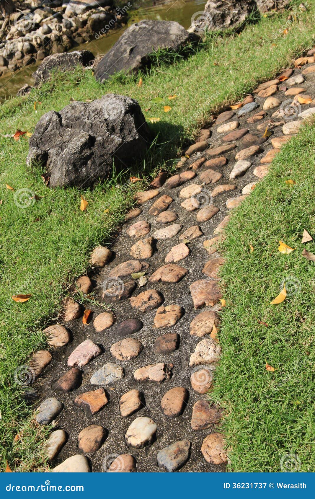 Garden path with stone stock image. Image of footpath - 36231737