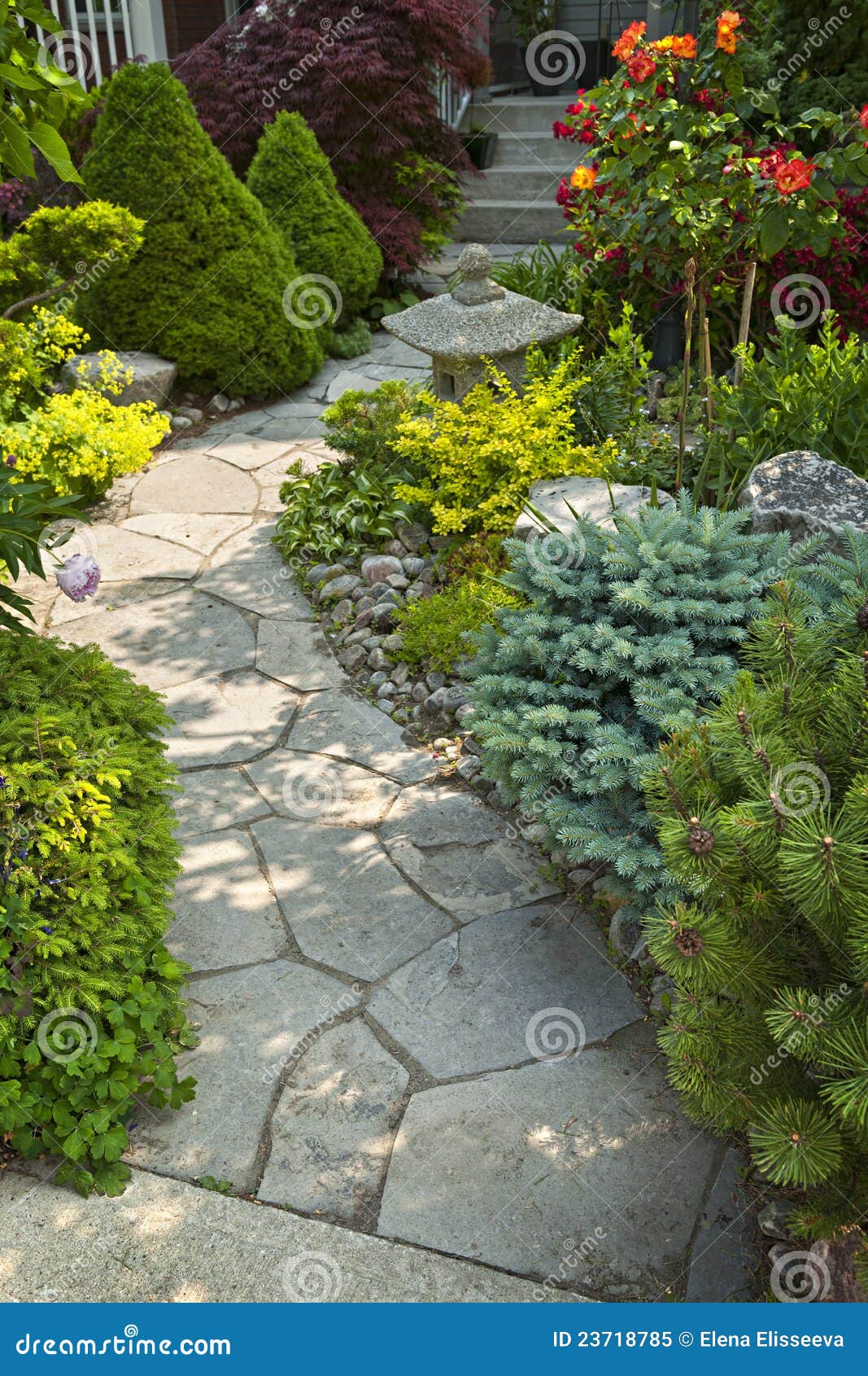 Garden Path with Stone Landscaping Stock Image - Image of lush, leading ...