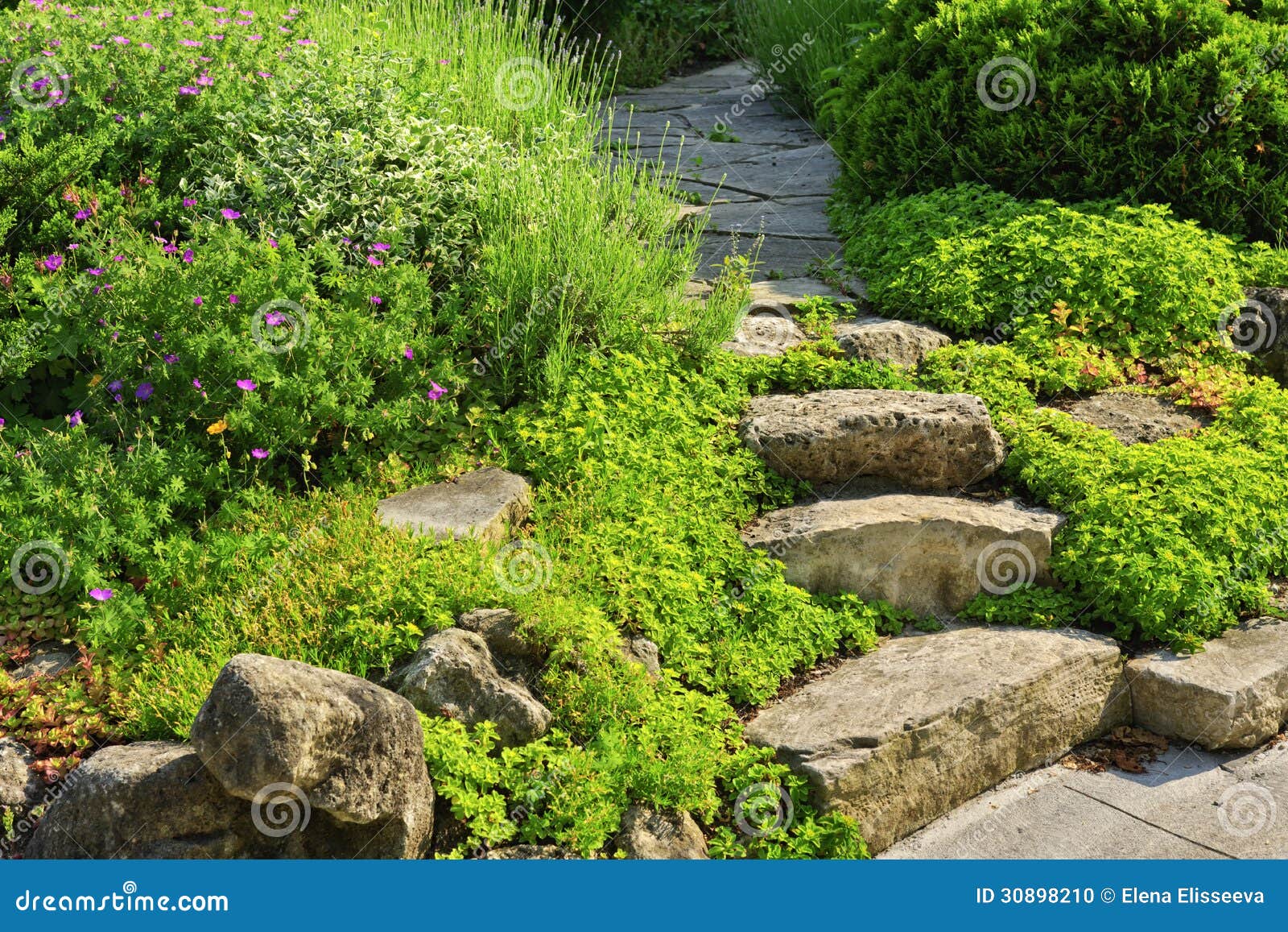Garden Path with Stone Landscaping Stock Photo - Image of perennial ...