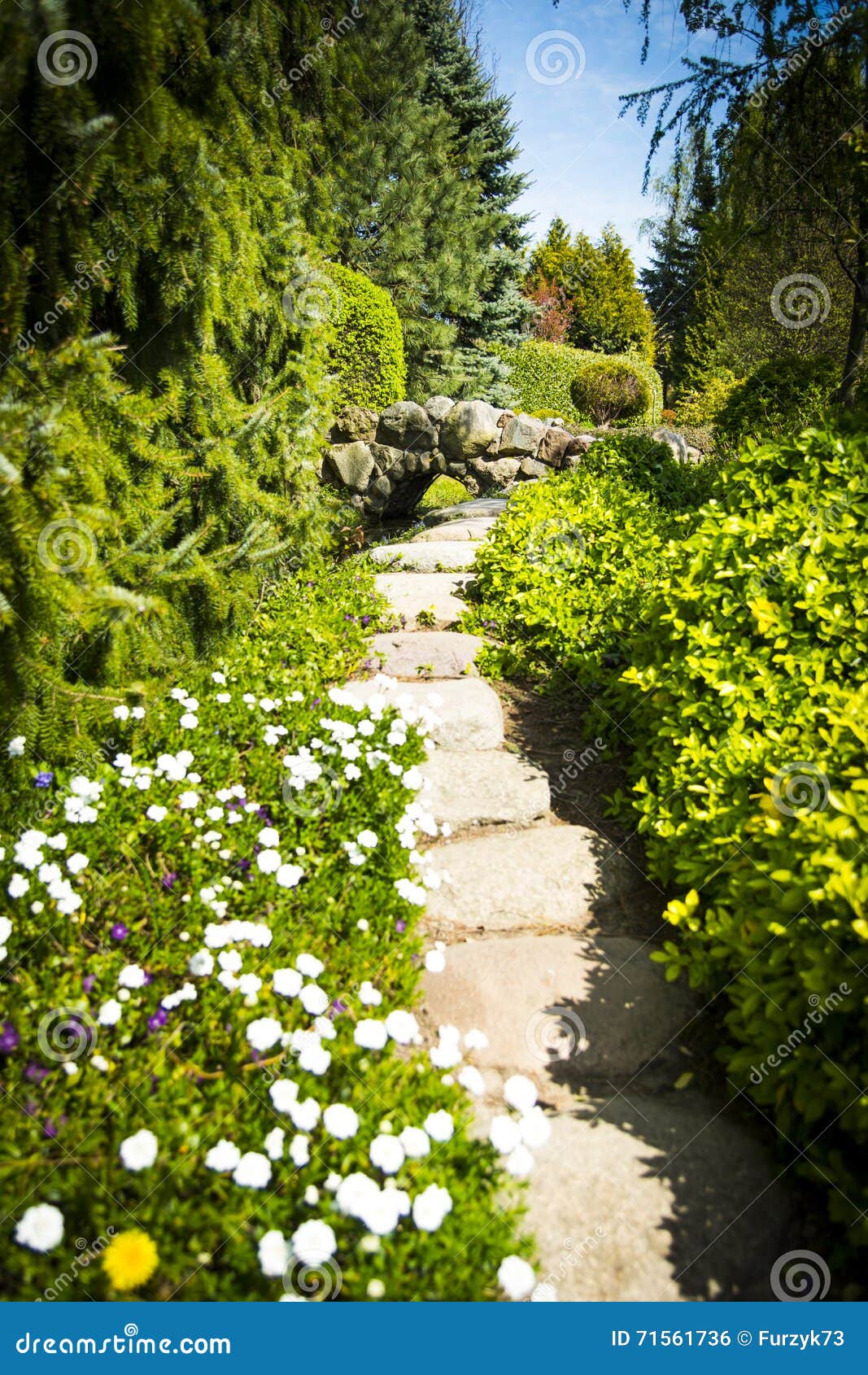 Garden path in summer stock photo. Image of blossom, summer - 71561736