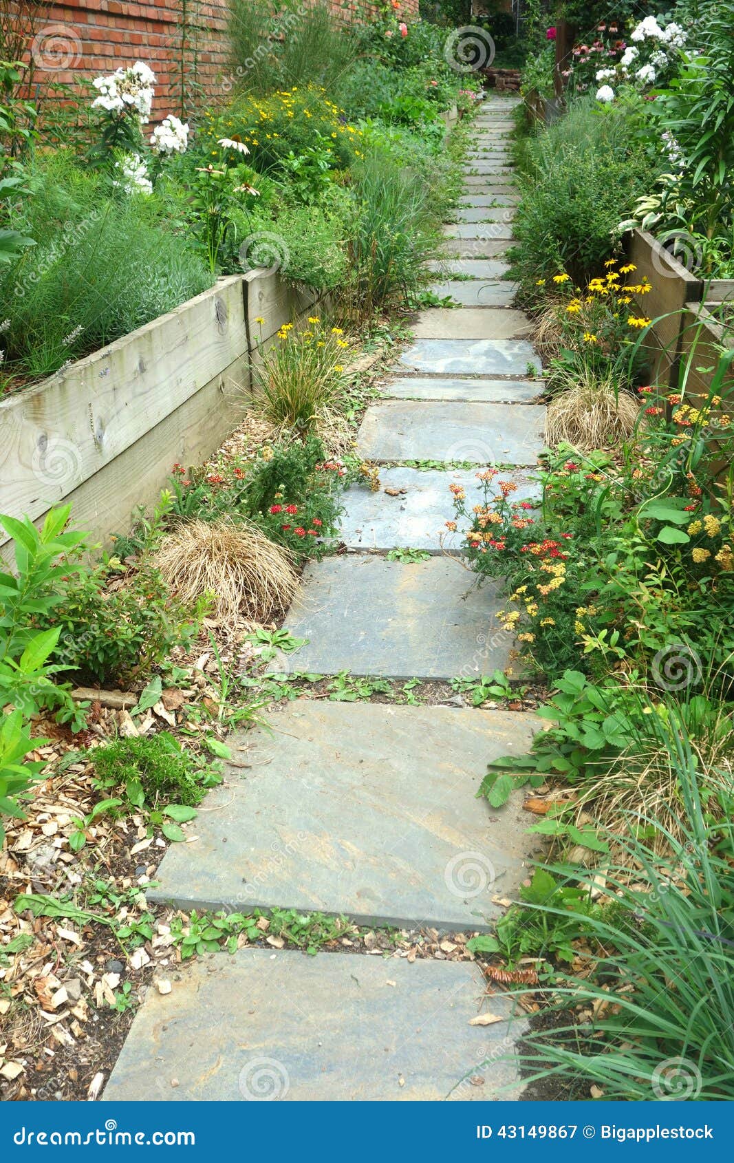 Garden Path stock image. Image of plants, walking, garden - 43149867