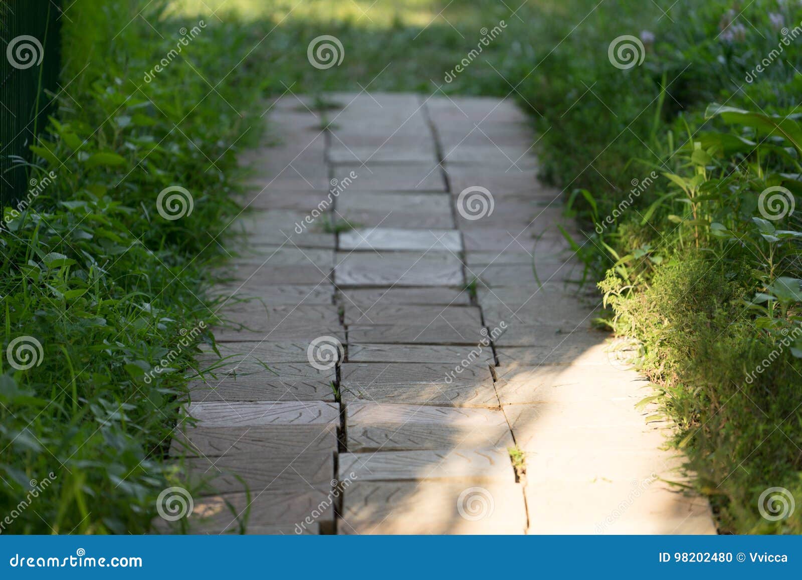 Garden path tile stock photo. Image of solar, plant, green - 98202480