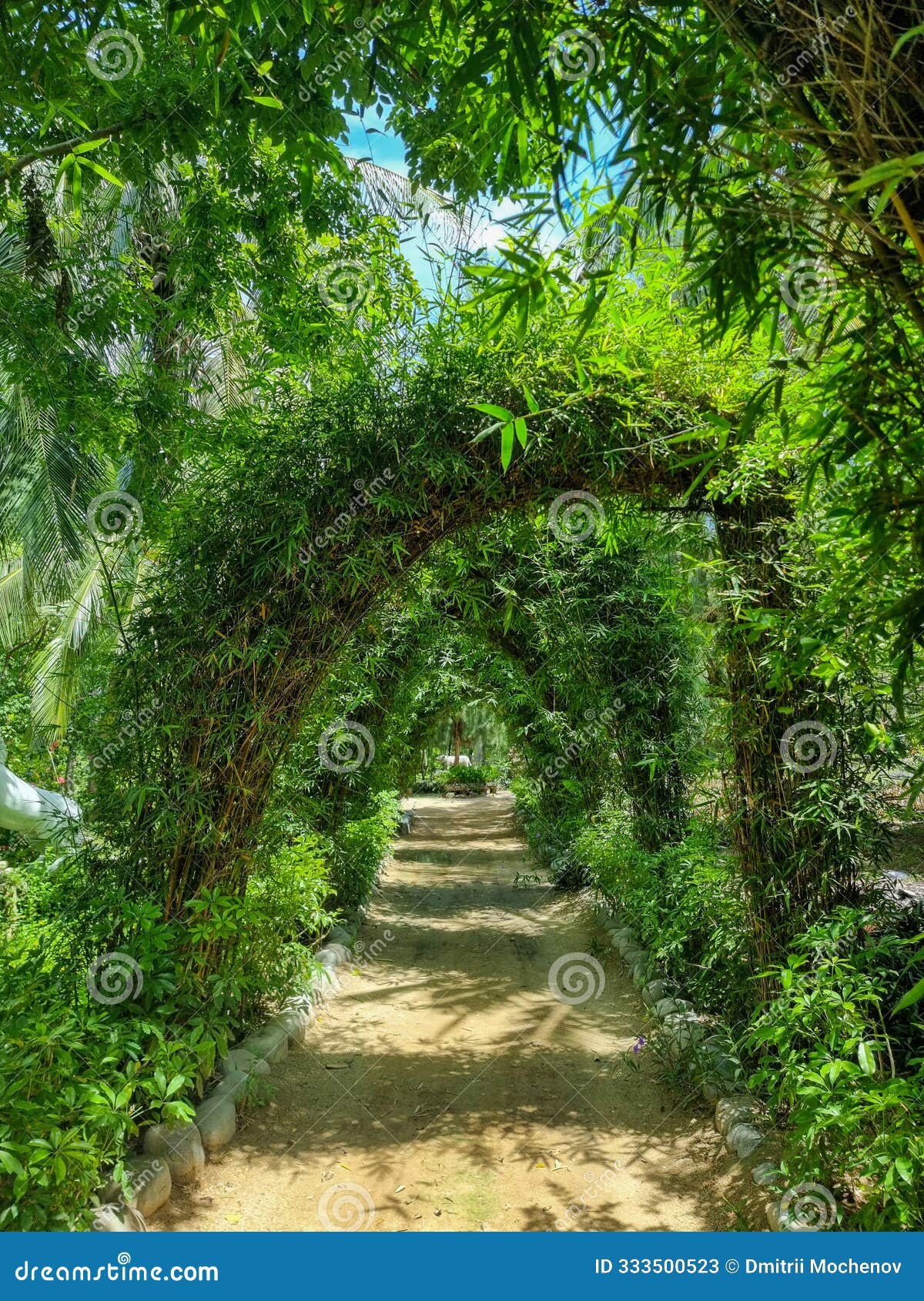 Garden path stock image. Image of nature, woodland, tree - 333500523
