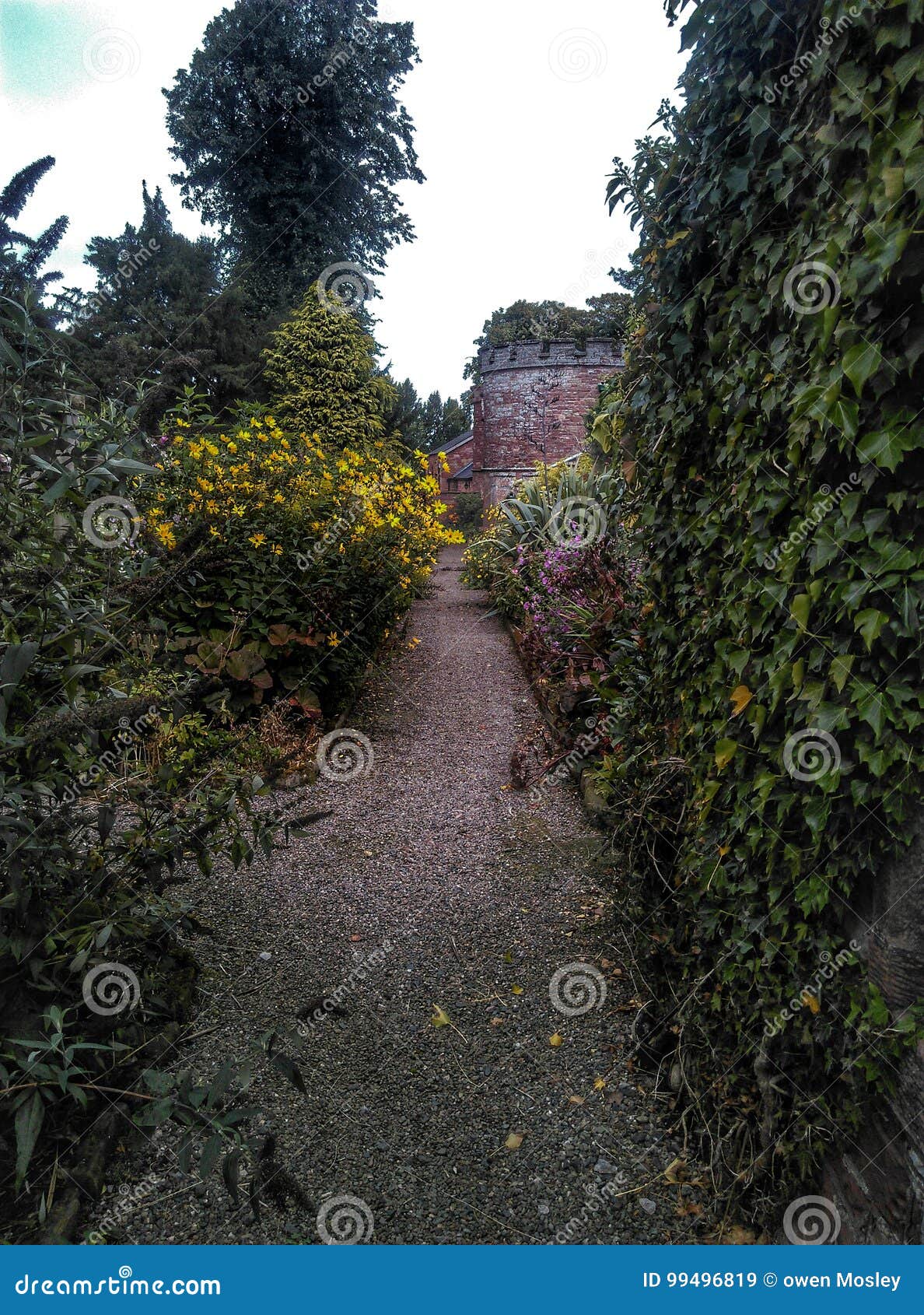 Garden path stock image. Image of flora, path, bushes - 99496819