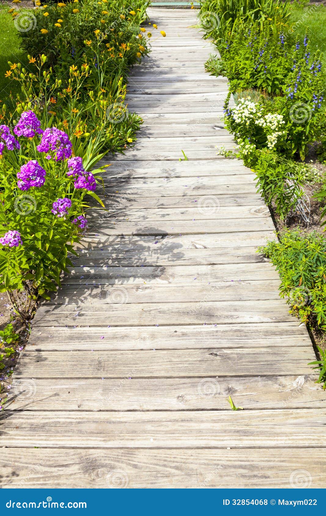 Garden path stock photo. Image of sunlight, home, green - 32854068