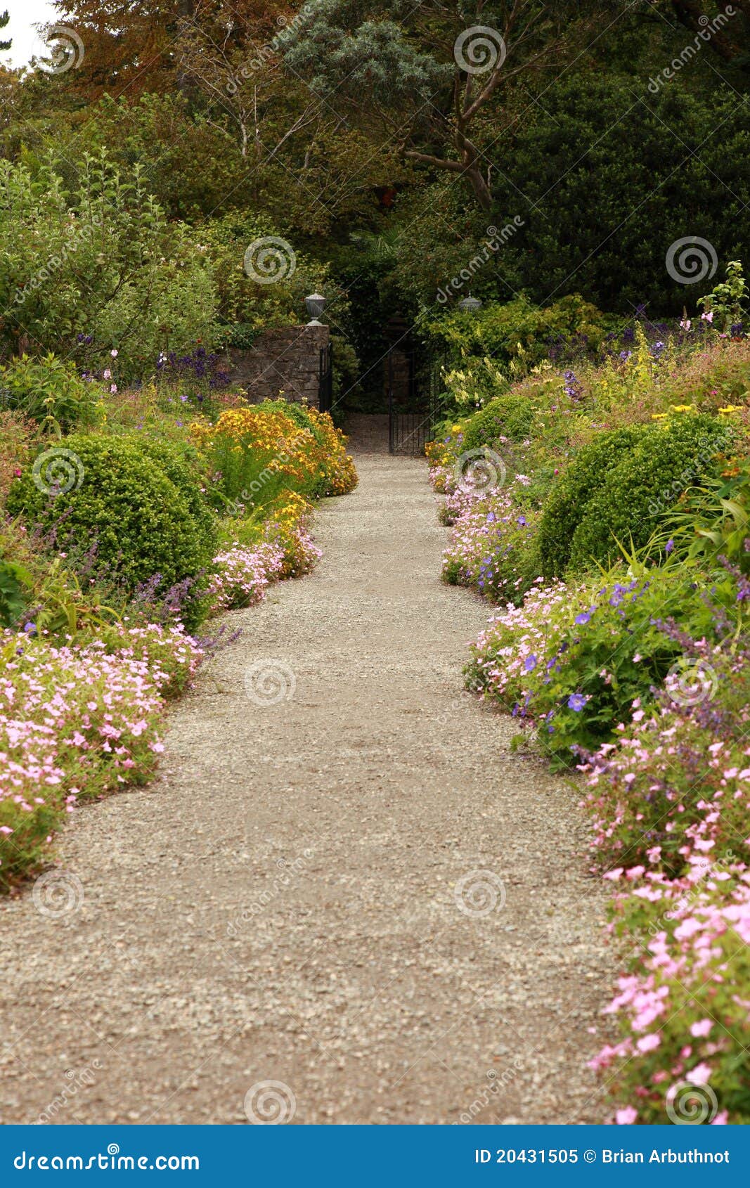 Garden pathway. stock image. Image of gate, flower, blooms - 20431505