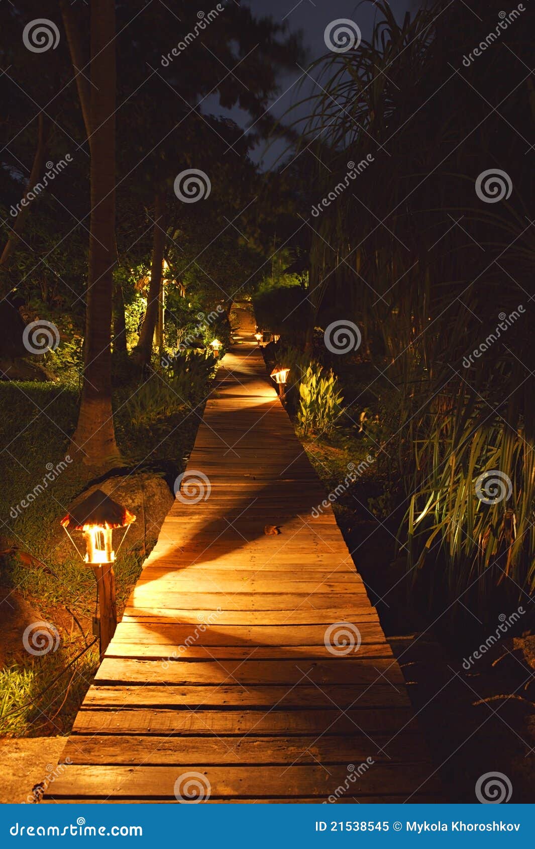 Garden with pathway stock image. Image of pathway, night - 21538545
