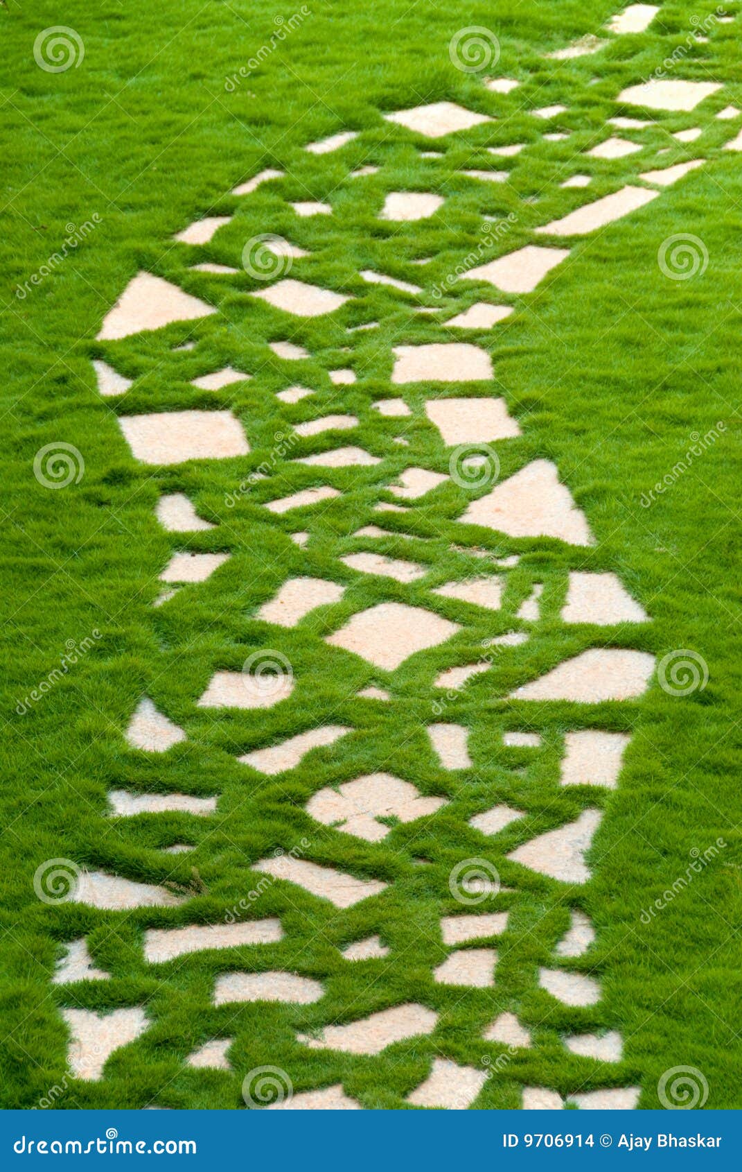Garden pathway stock photo. Image of walkway, grass, pathway - 9706914