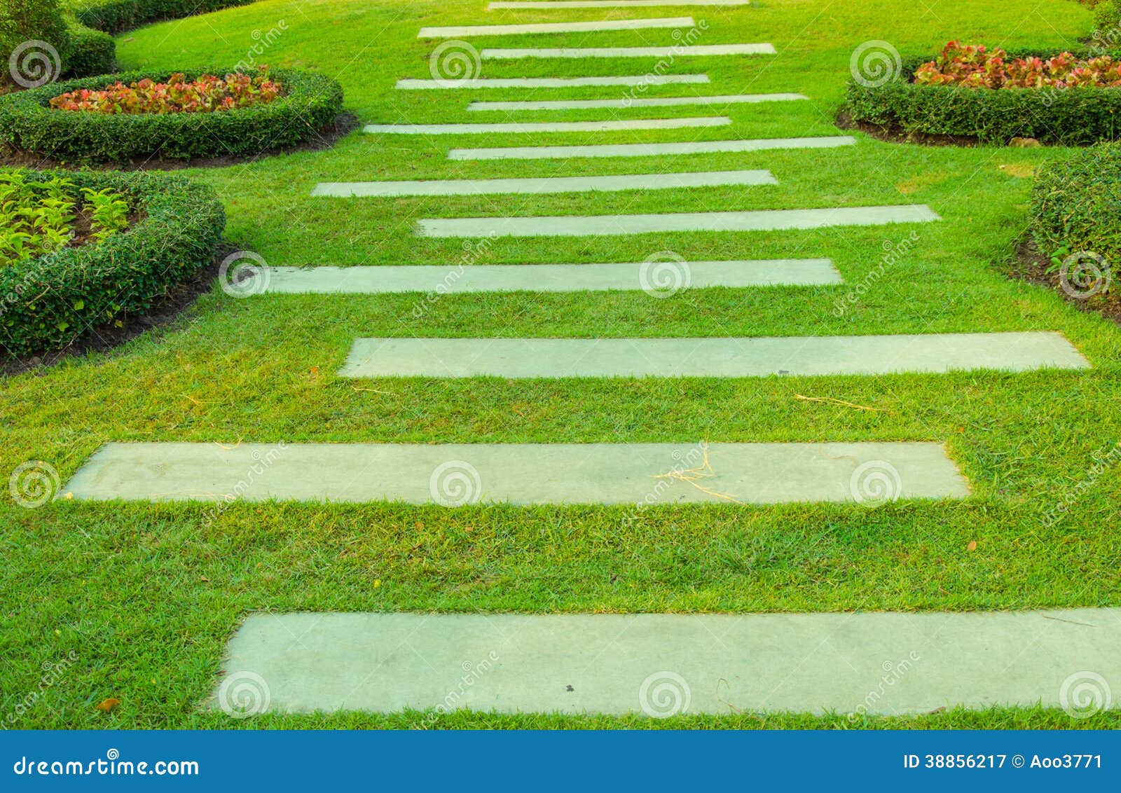 Garden pathway stock image. Image of drops, pavement - 38856217