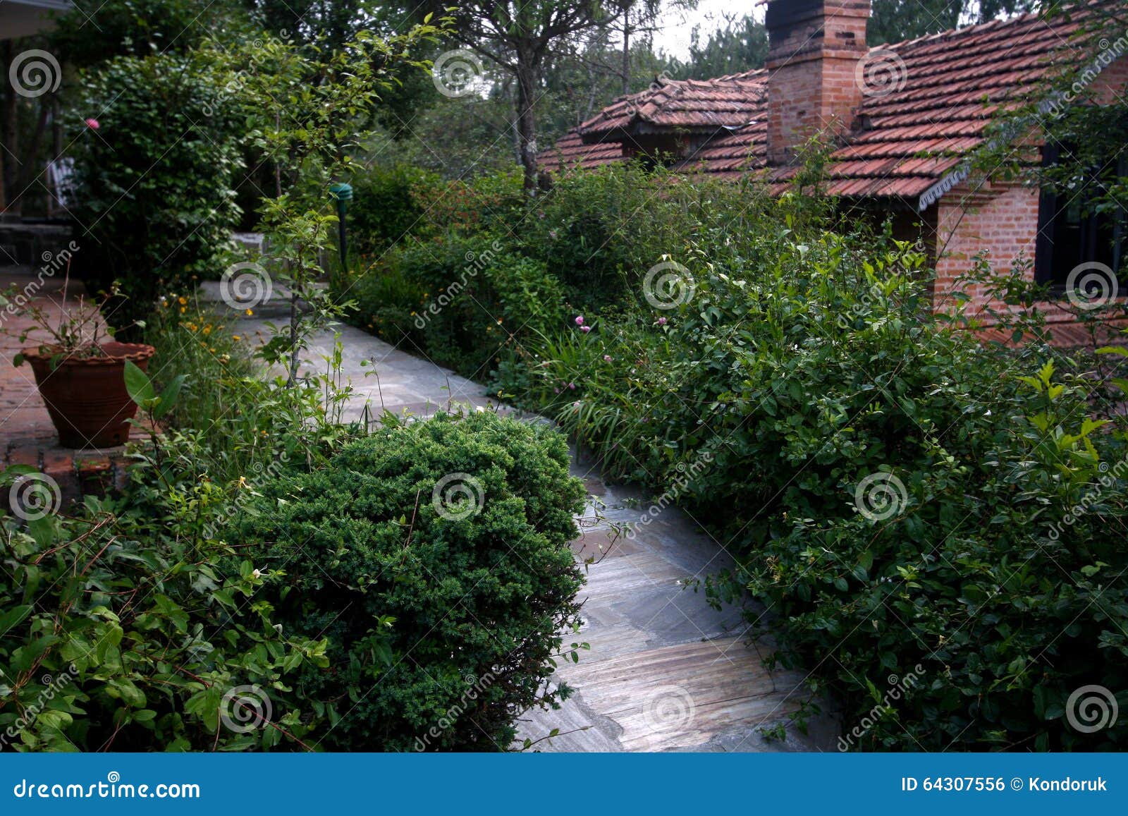 Garden pathway stock photo. Image of mosaic, garden, travel - 64307556