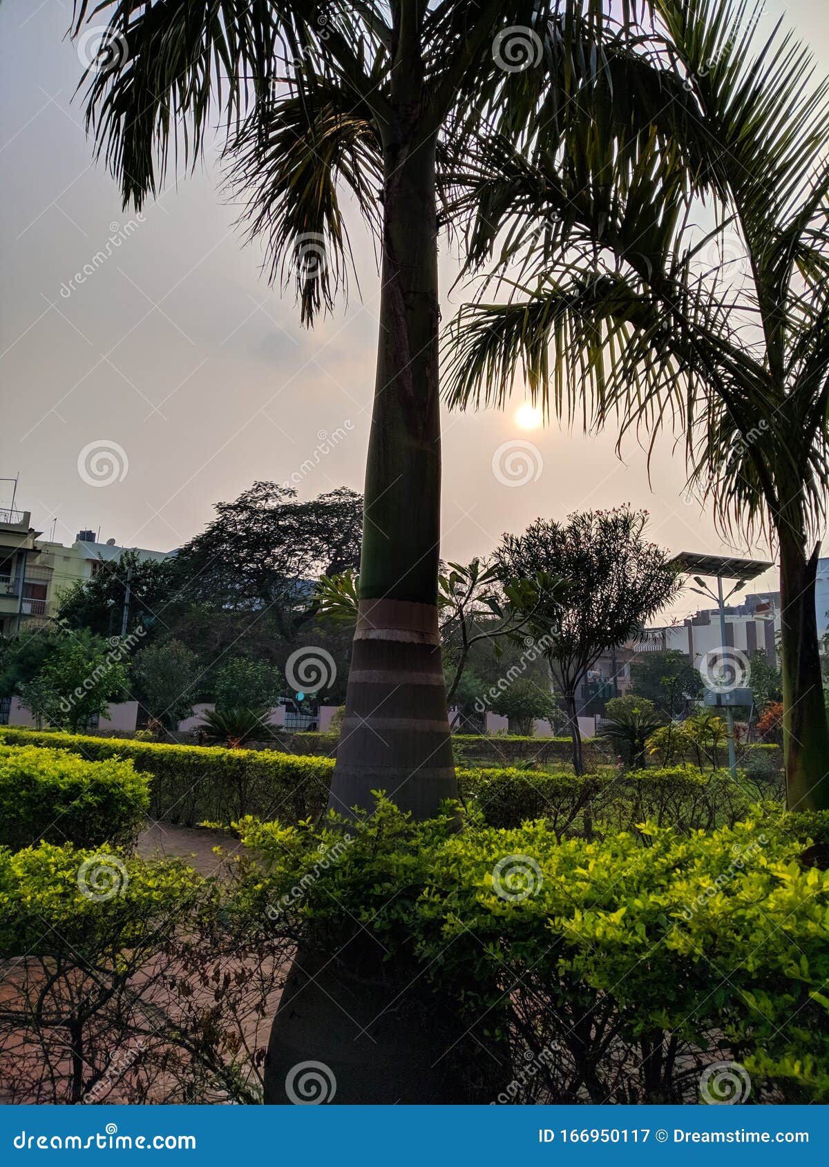 Garden in Patna Bihar Full of Trees and Plants Stock Image - Image of ...