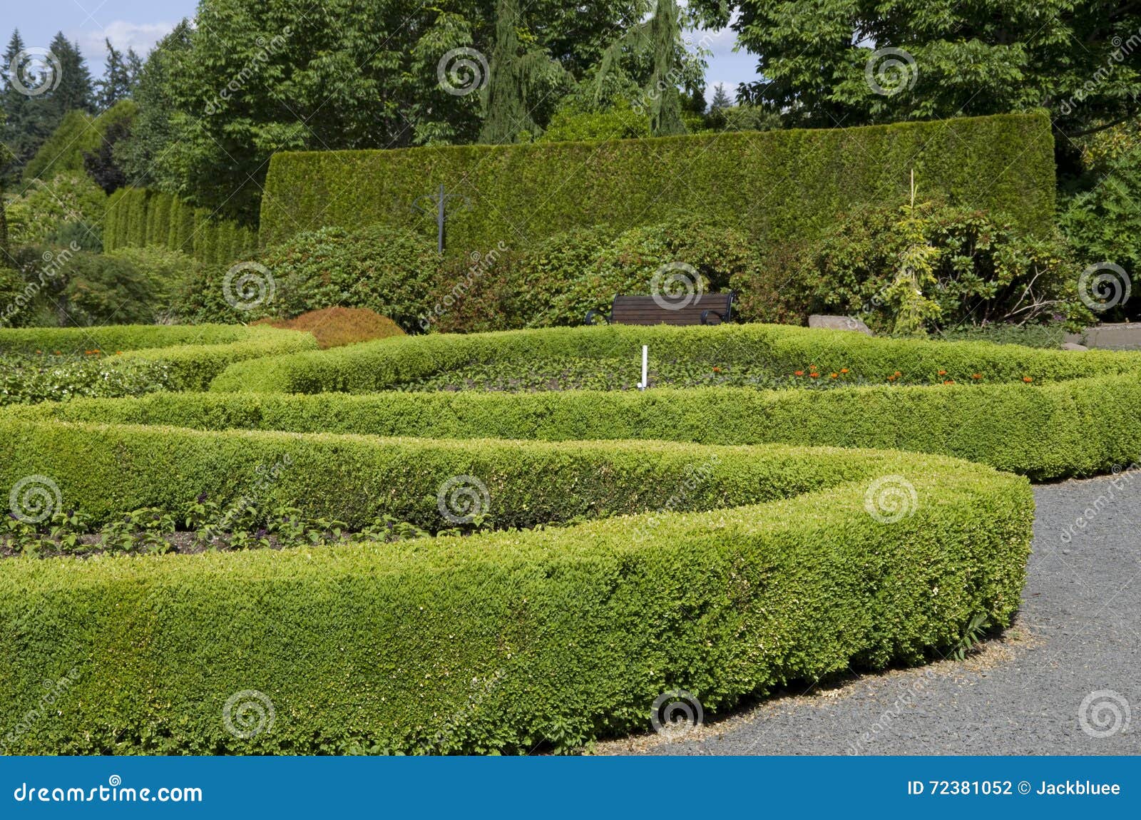 Garden pattern design stock photo. Image of pattern, patterns - 72381052