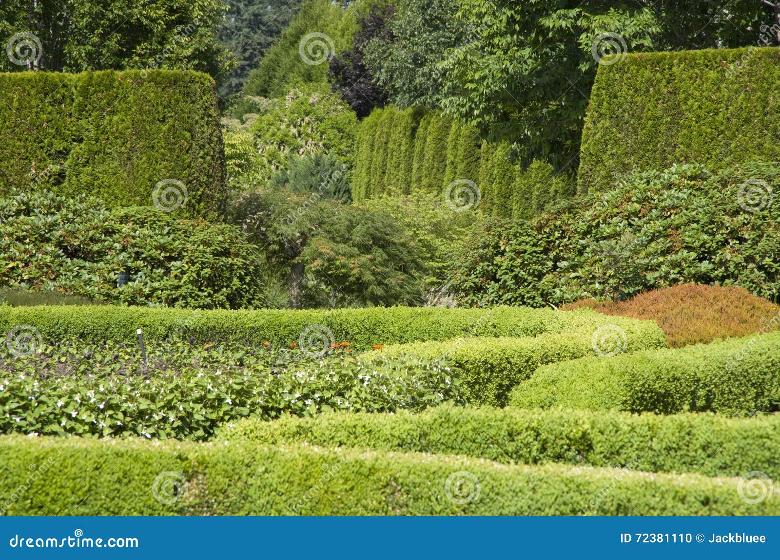 Garden pattern design stock photo. Image of plants, agriculture - 72381110