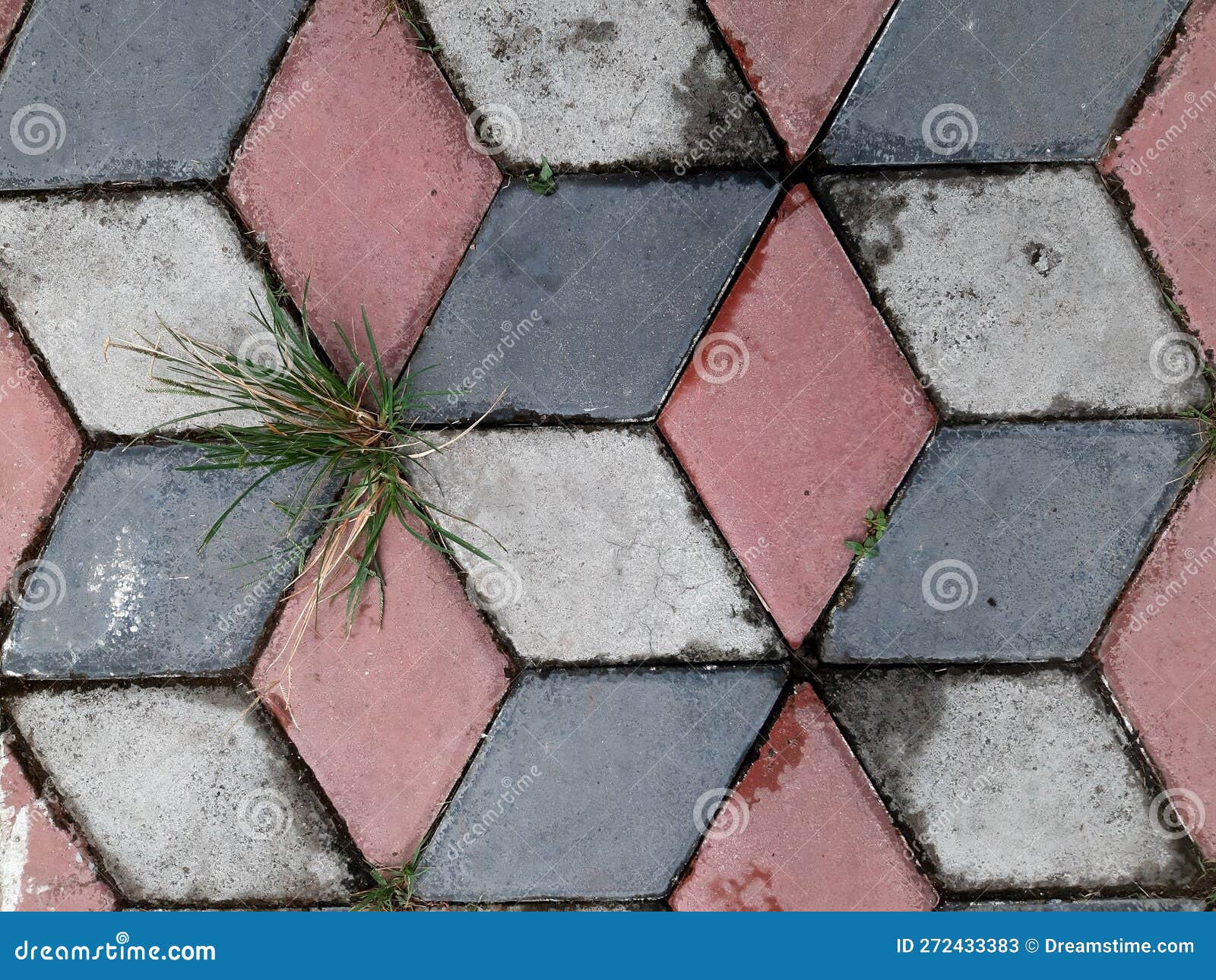 Garden Paved Path Floor Slabs Interlock Half Clean and Dirty with Some ...