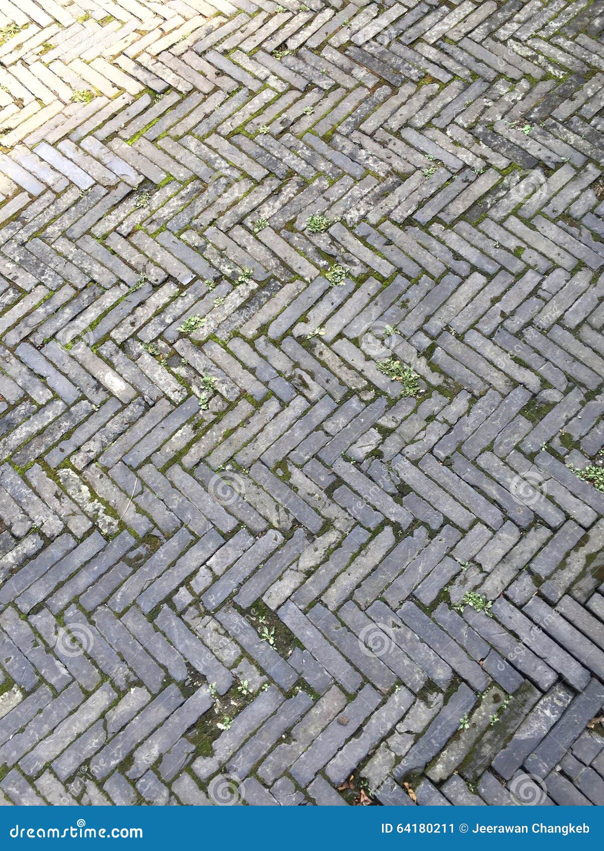 Garden Paver Abstract Pattern Stock Image - Image of texture, stone ...