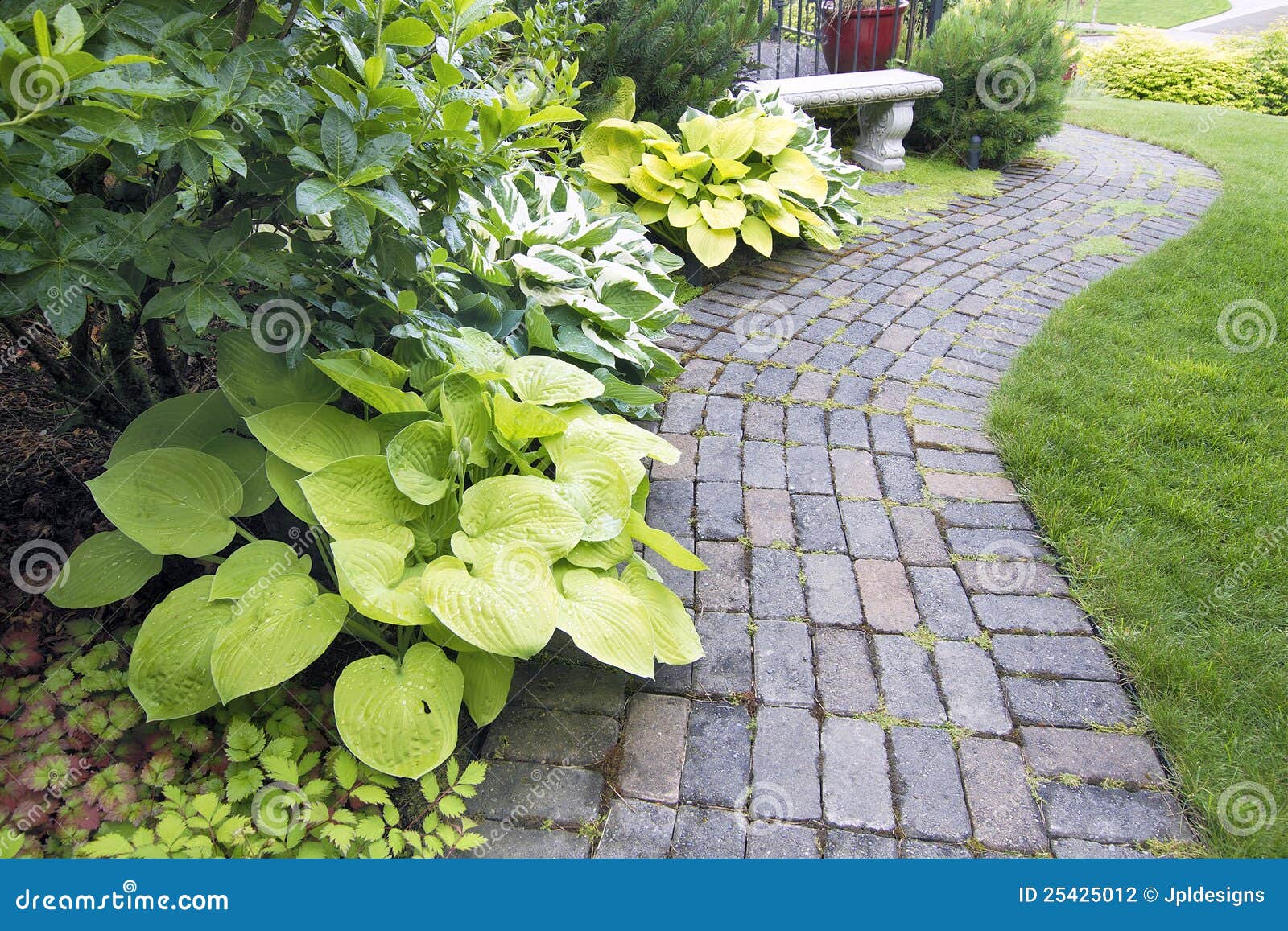 Garden Paver Path with Plants and Grass Stock Photo - Image of pavers ...