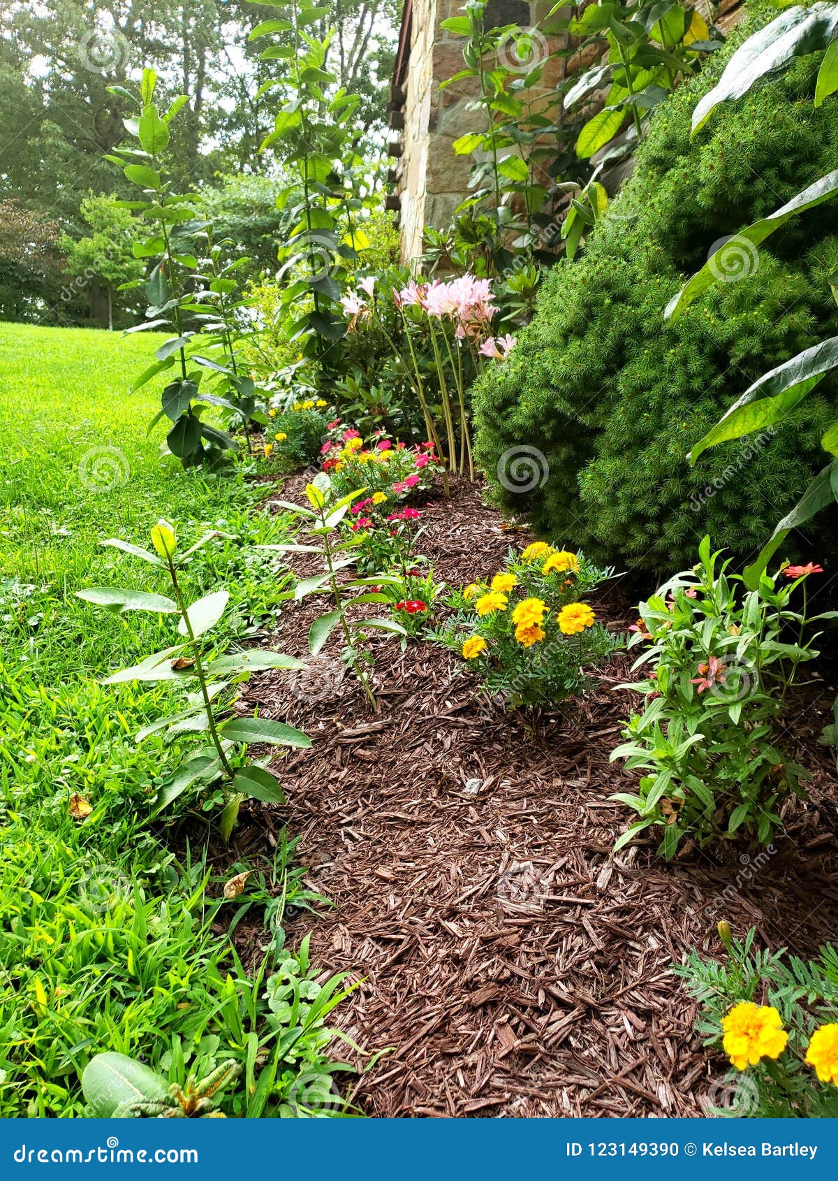 Garden of peace stock photo. Image of maryland, scenery - 123149390