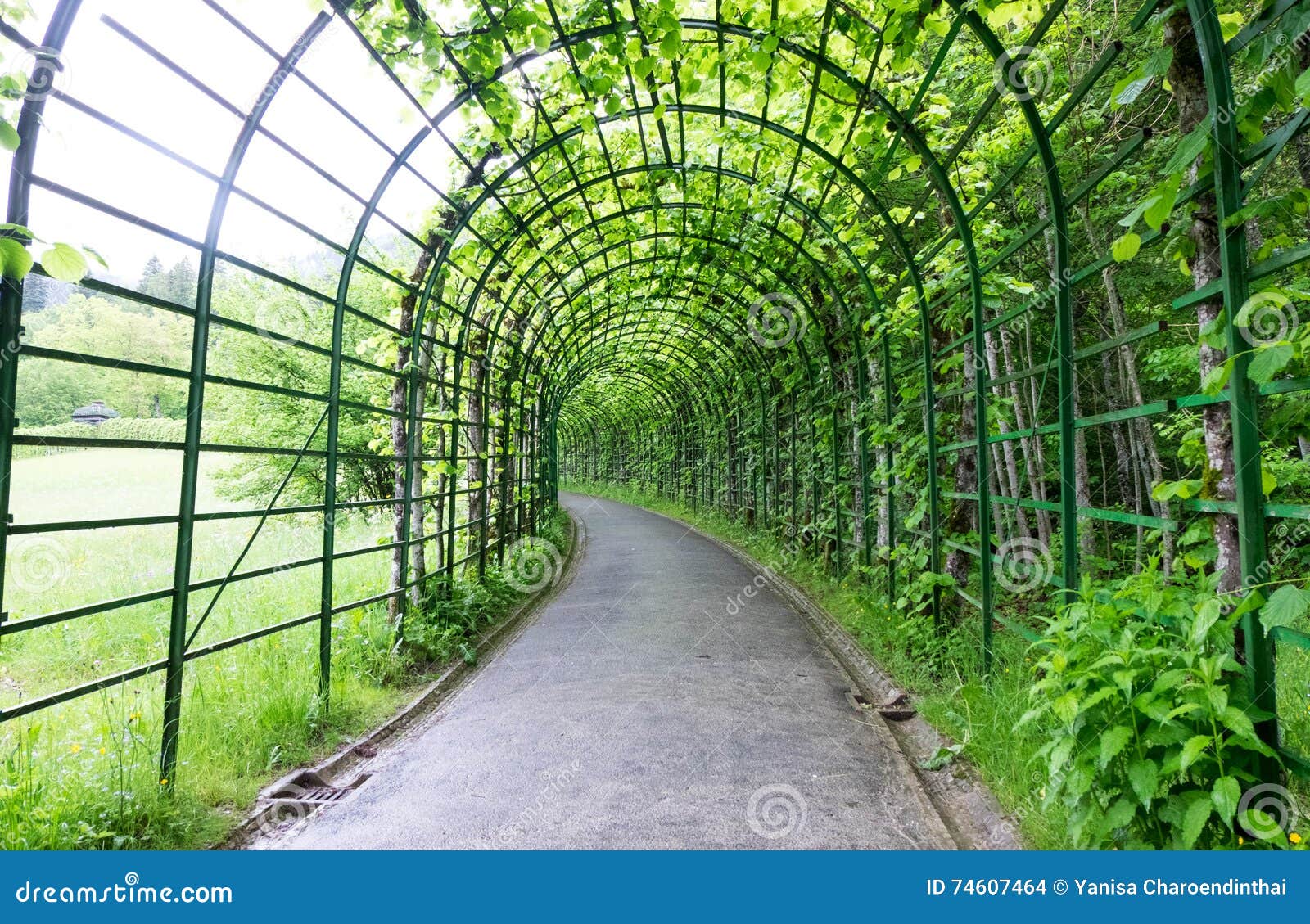 Pergola Tunnel In A Public Garden Stock Photo | CartoonDealer.com ...