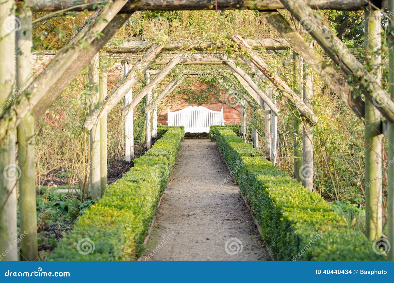 Garden Perspective With Bench Stock Photo - Image of pergola ...