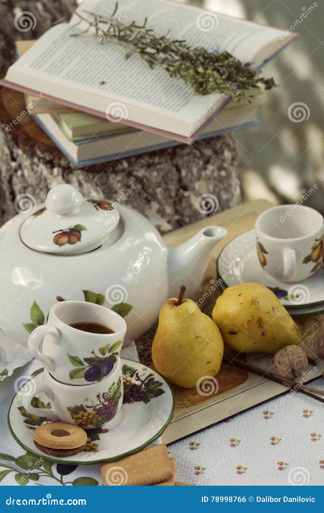 Garden Picnic, Tea Set and a Book Stock Photo - Image of relaxation ...