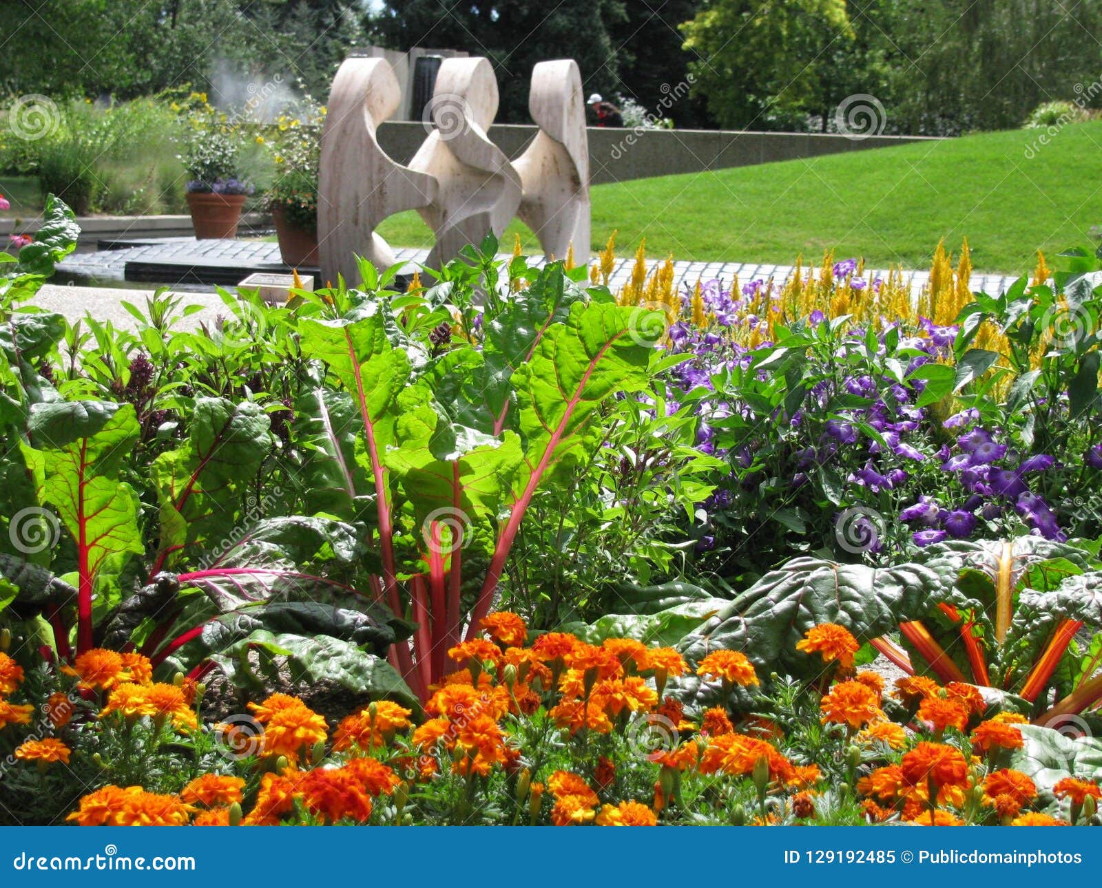 Garden, Plant, Botanical Garden, Flower Picture. Image: 129192485