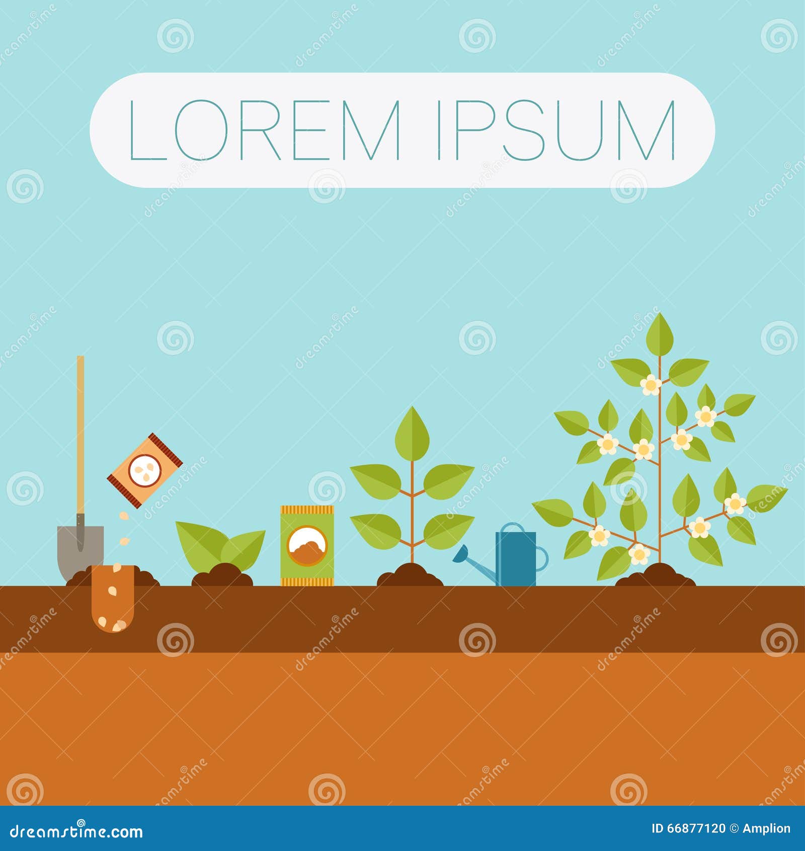 Garden planting stages stock vector. Illustration of grass - 66877120