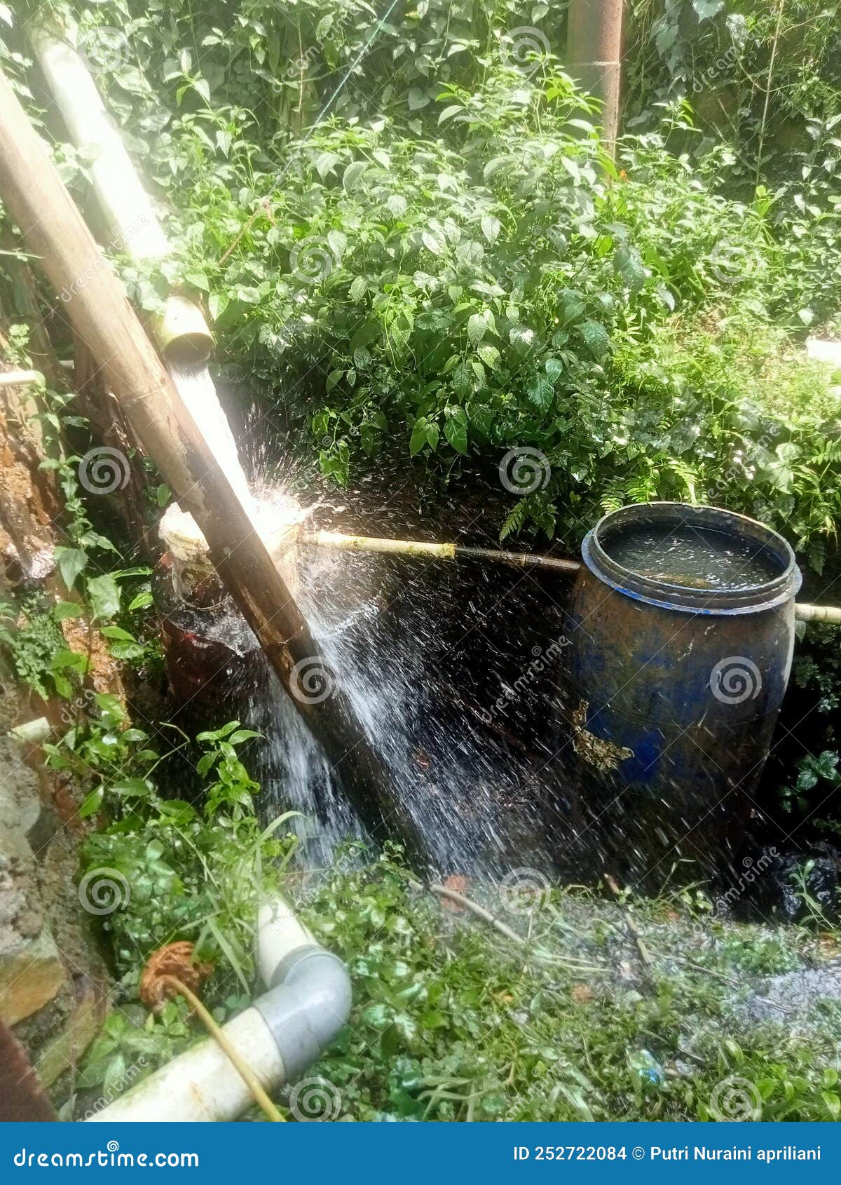 Garden Plants Waterfall Grass Green Stock Photo - Image of woodland ...