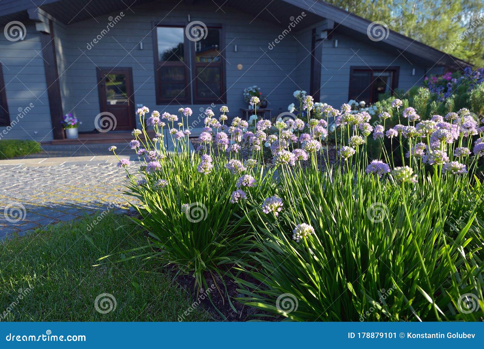 Garden Plot with a House, Flowerbeds and Paving Stock Image - Image of ...