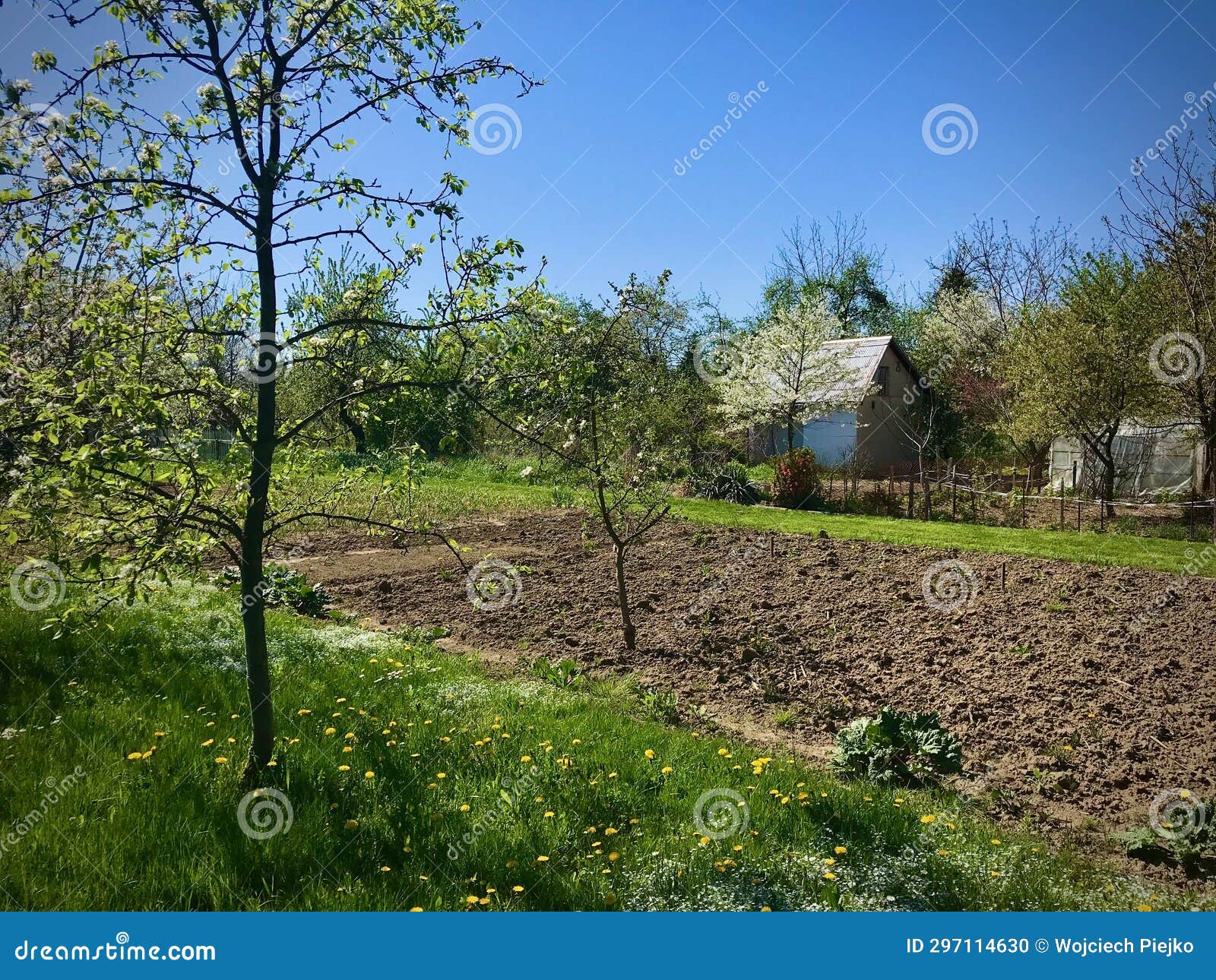 A garden plot with stock photo. Image of farming, agriculture - 297114630