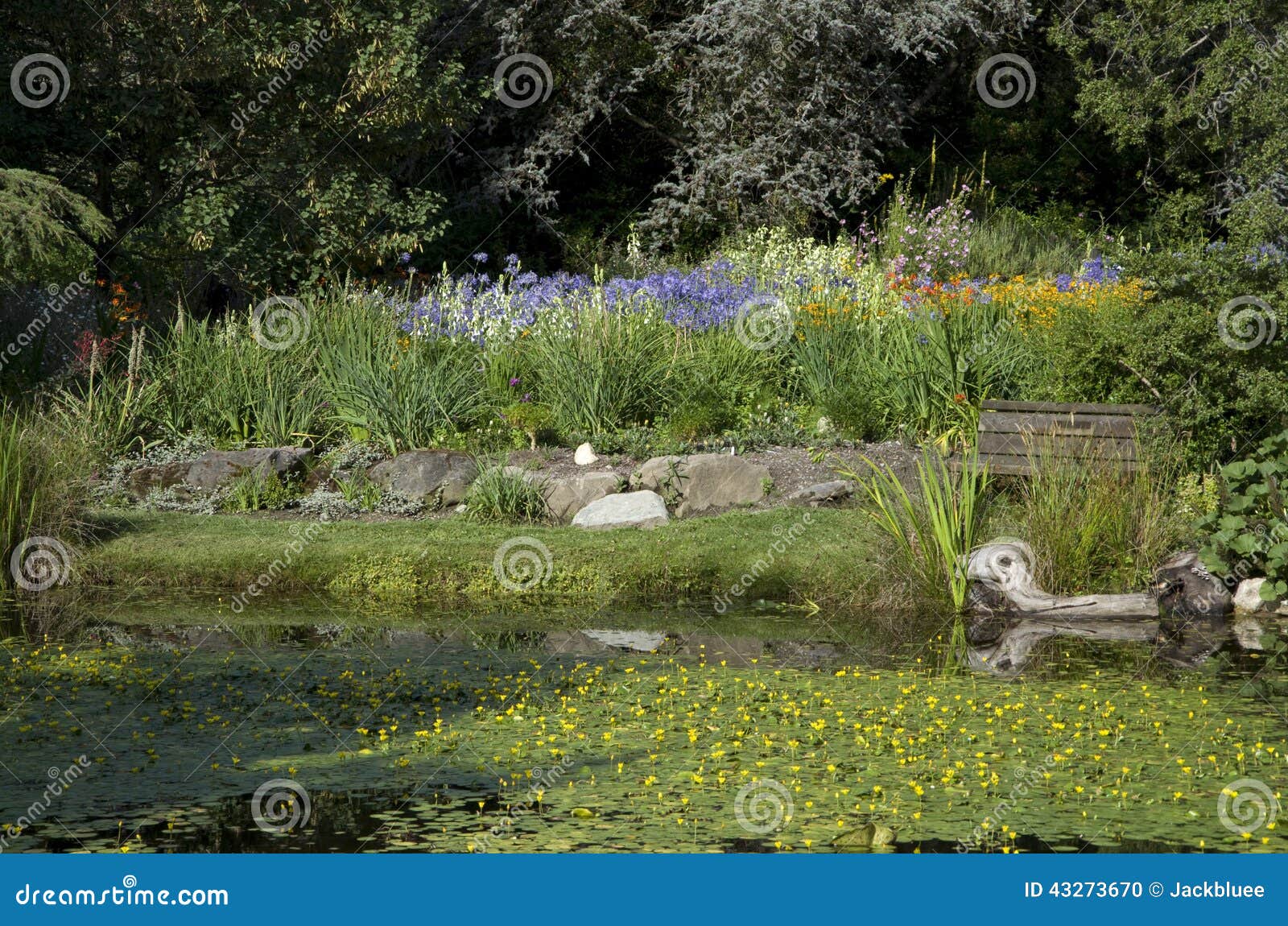 Garden pond stock photo. Image of designs, yard, front - 43273670