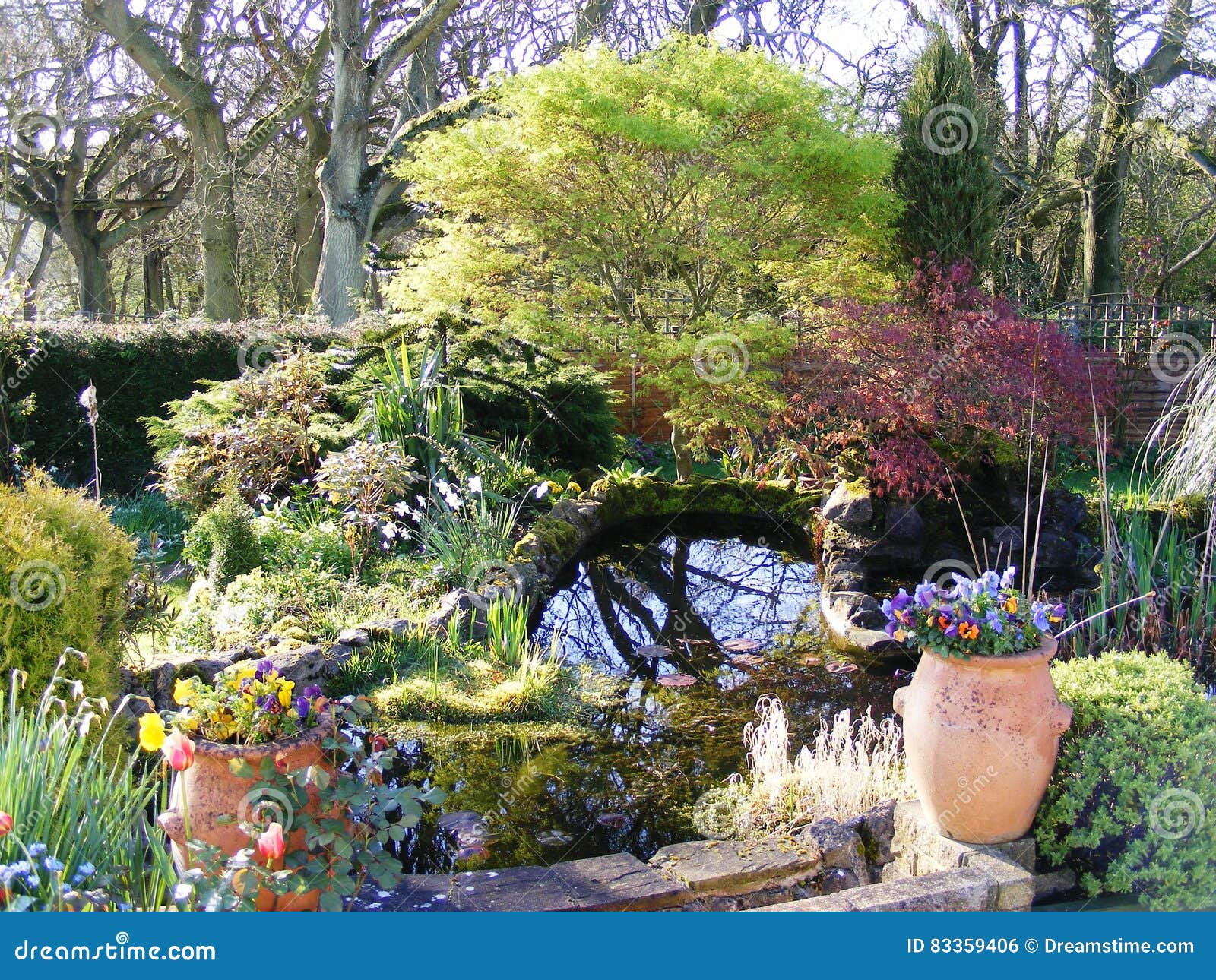 Garden Pond with Flower Border and Plant Pots Stock Photo - Image of ...