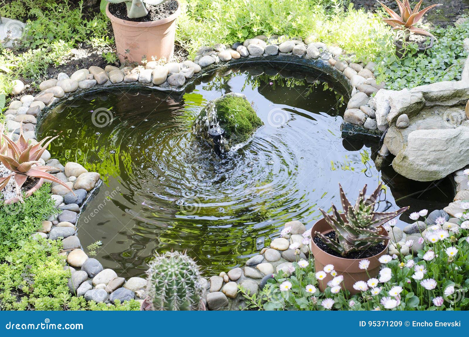 Garden pond with fountain stock image. Image of plant - 95371209