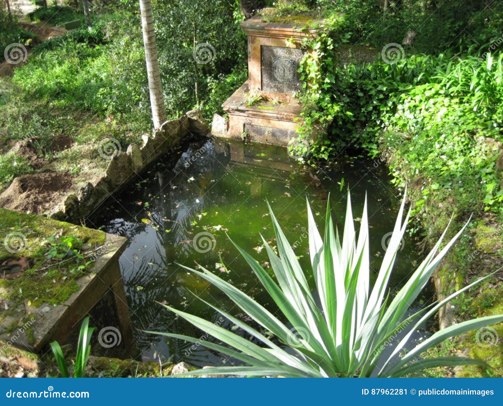 Garden Pool Picture. Image: 87962281