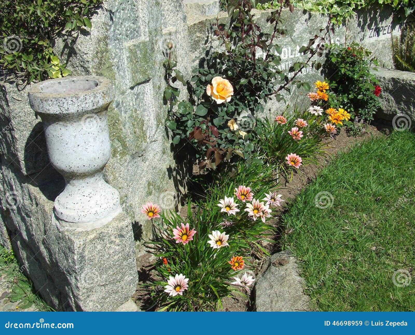 Garden of popping flowers stock image. Image of rose - 46698959