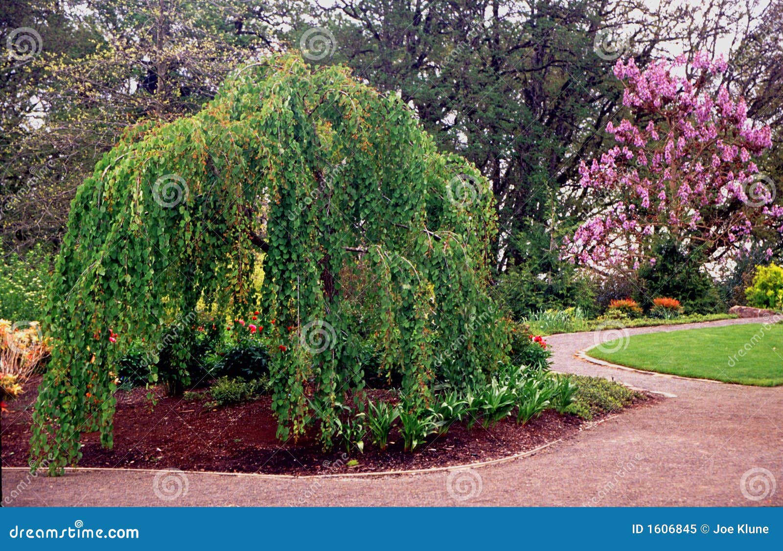 Garden portraits stock image. Image of colorful, trees - 1606845